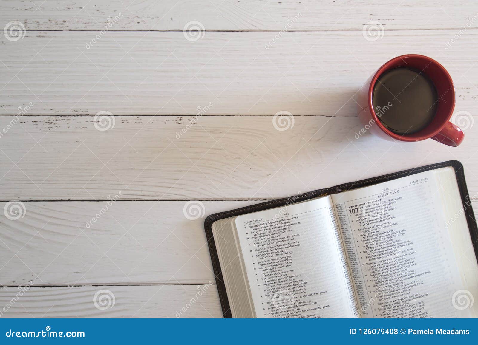 Bible Study Background stock photo. Image of bible, white - 126079408