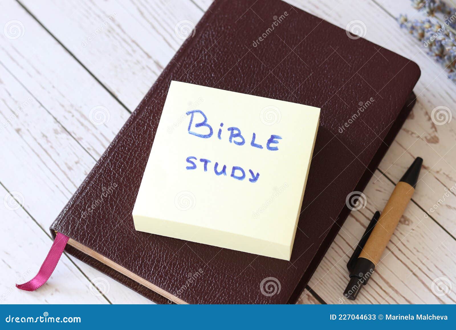 Bible Study daily. Studying and Learning the Word of God and Jesus ...