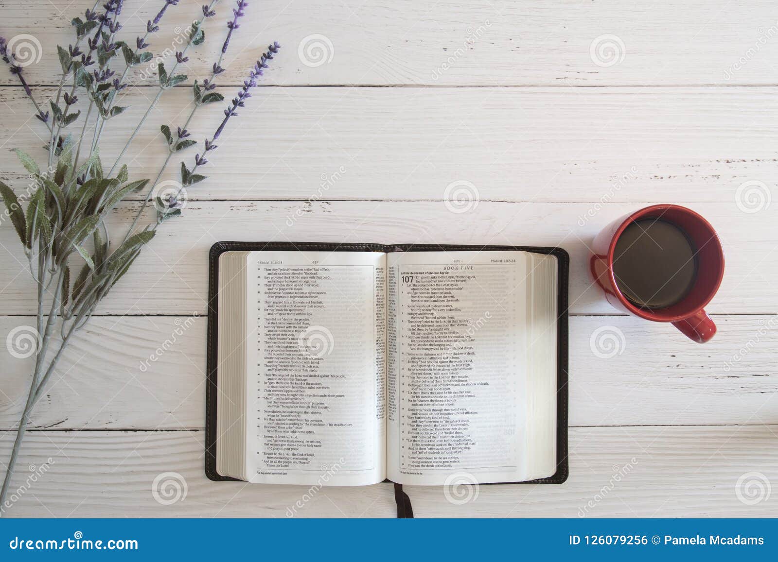 Bible Study Background stock photo. Image of purple - 126079256
