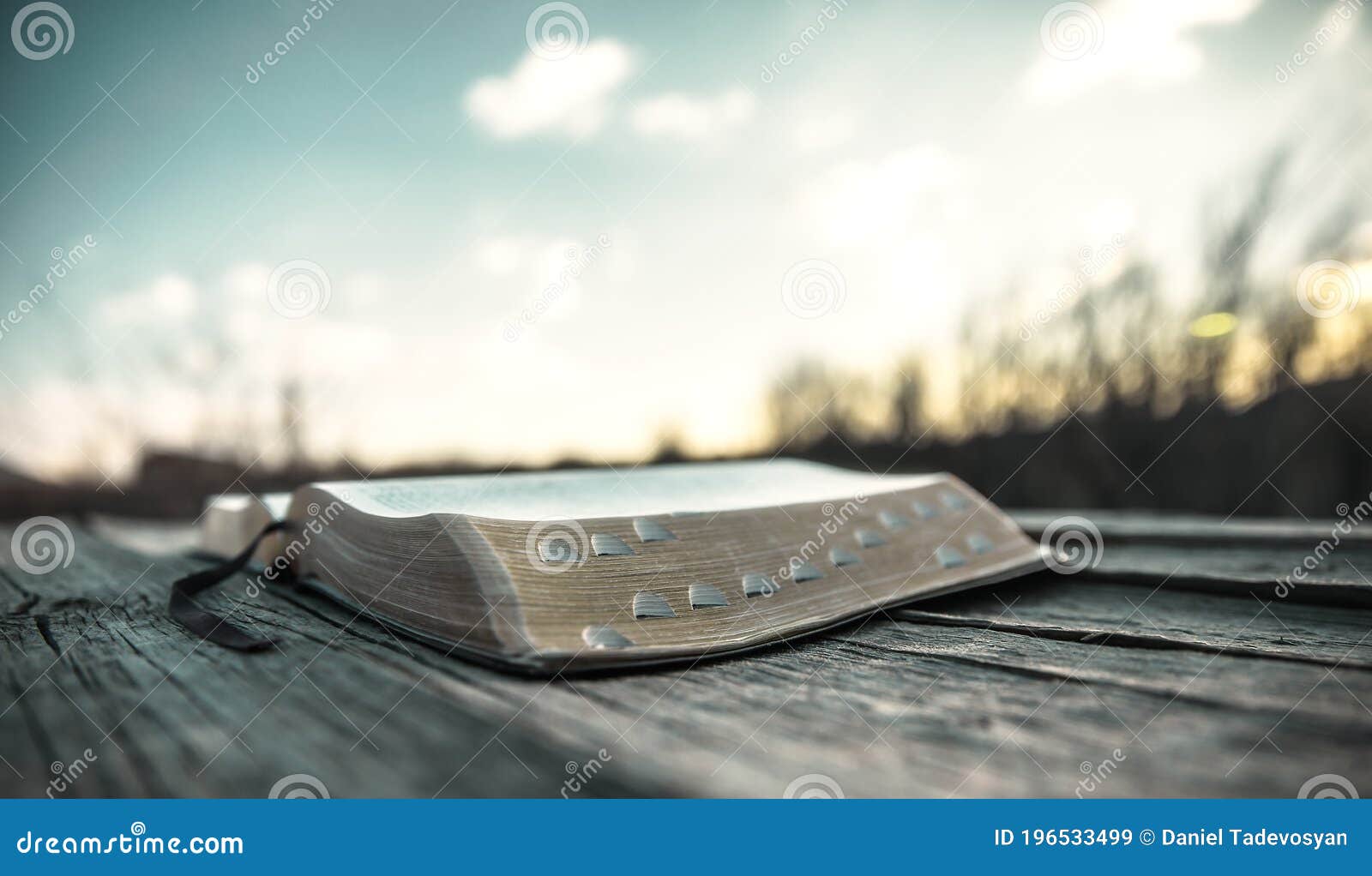 Bible on the table stock image. Image of religious, spring - 196533499