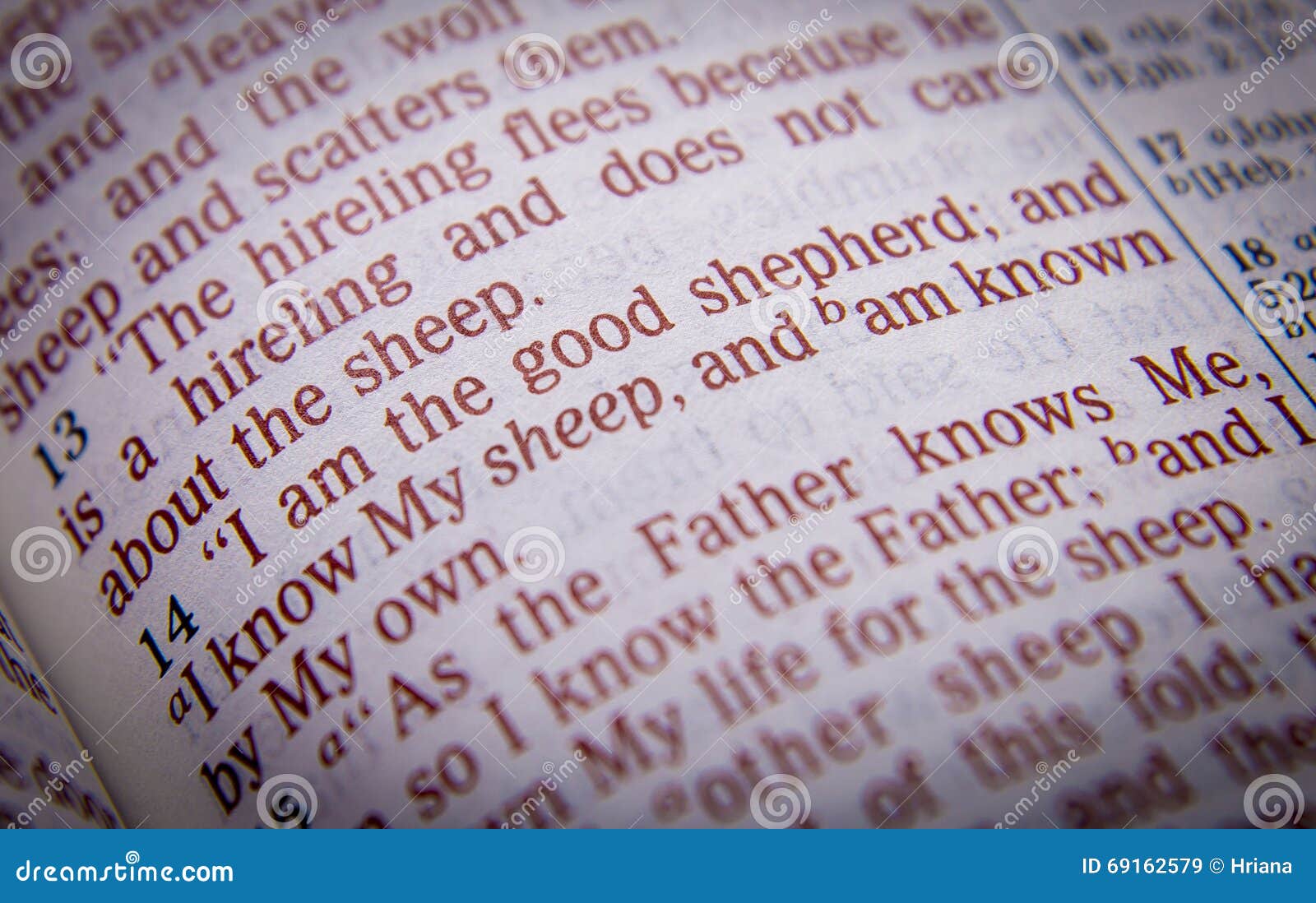 Bible Text - I am the Good Shepherd - John 10:14 Stock Image - Image of ...