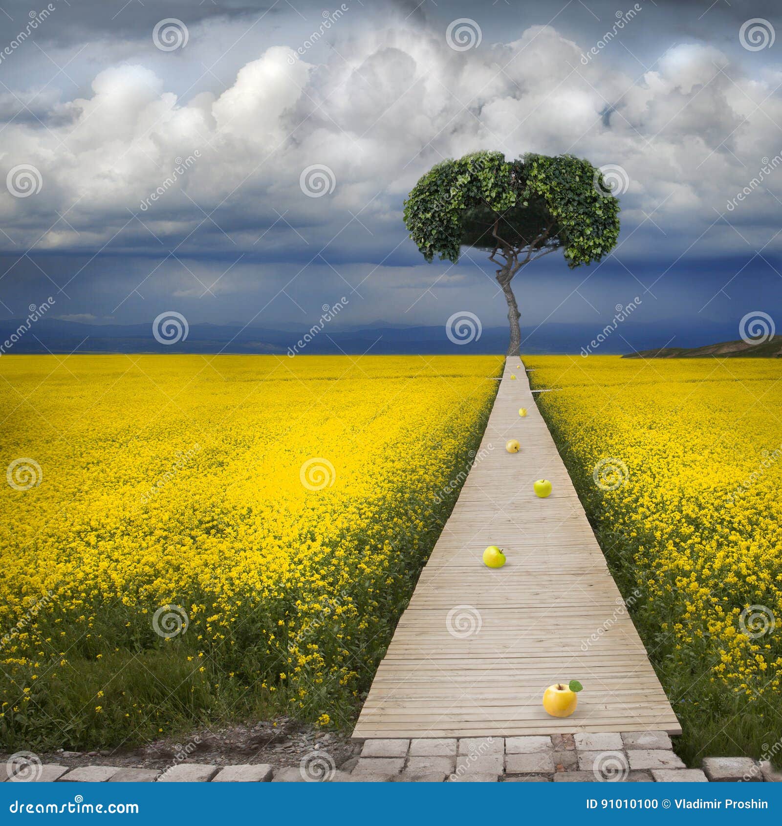 Biblical Apple of Temptation Stock Photo - Image of christianity, apple ...