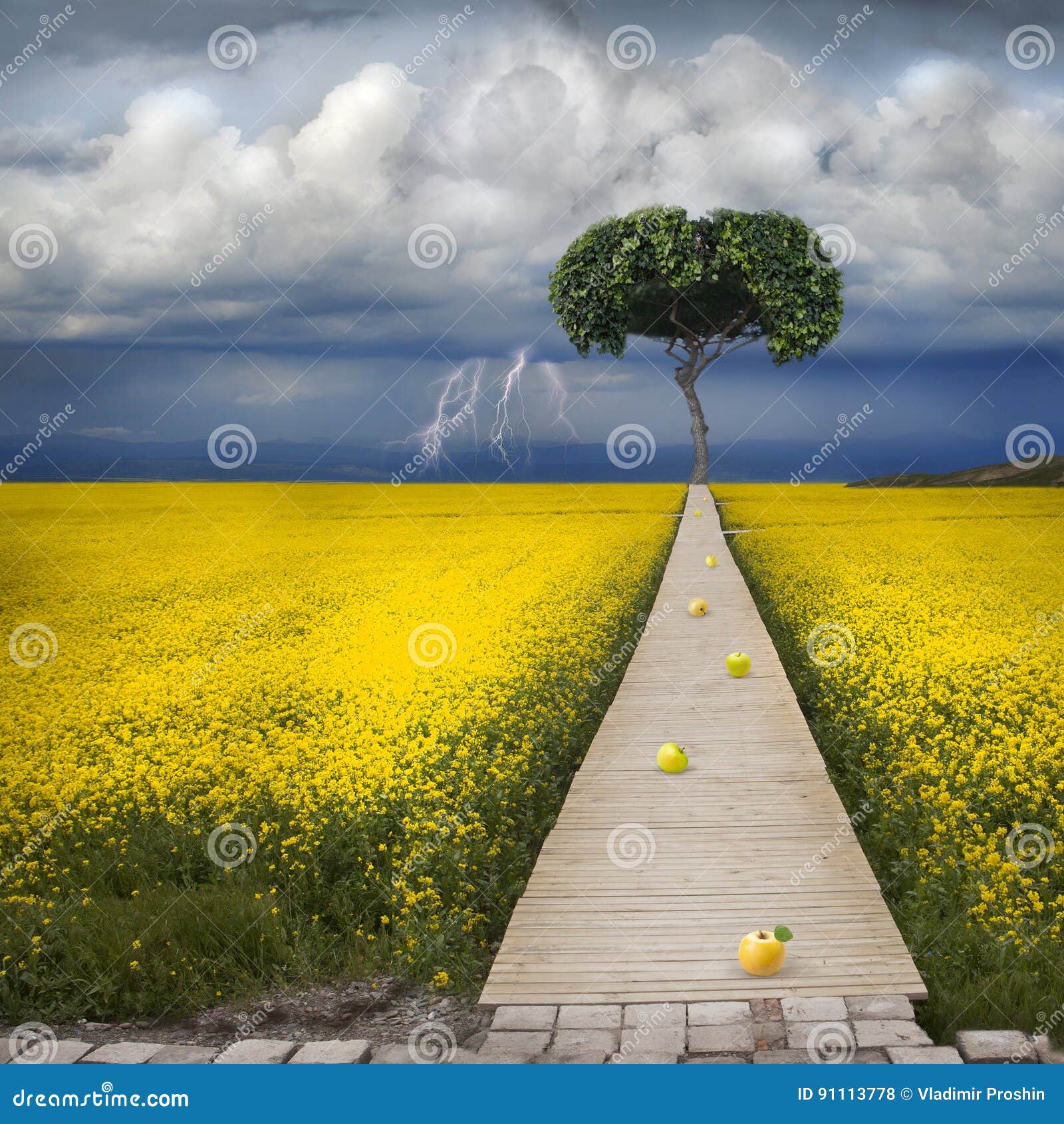 Biblical Apple of Temptation Stock Photo - Image of genesis, faith ...