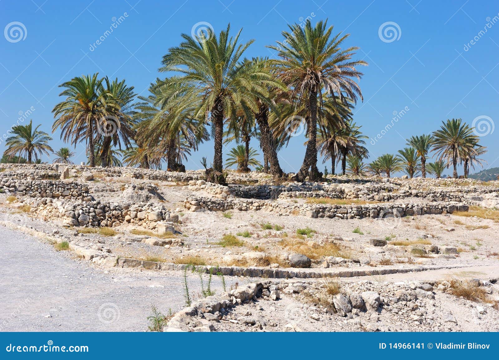 Biblical Place of Israel: Megiddo Stock Image - Image of israel ...