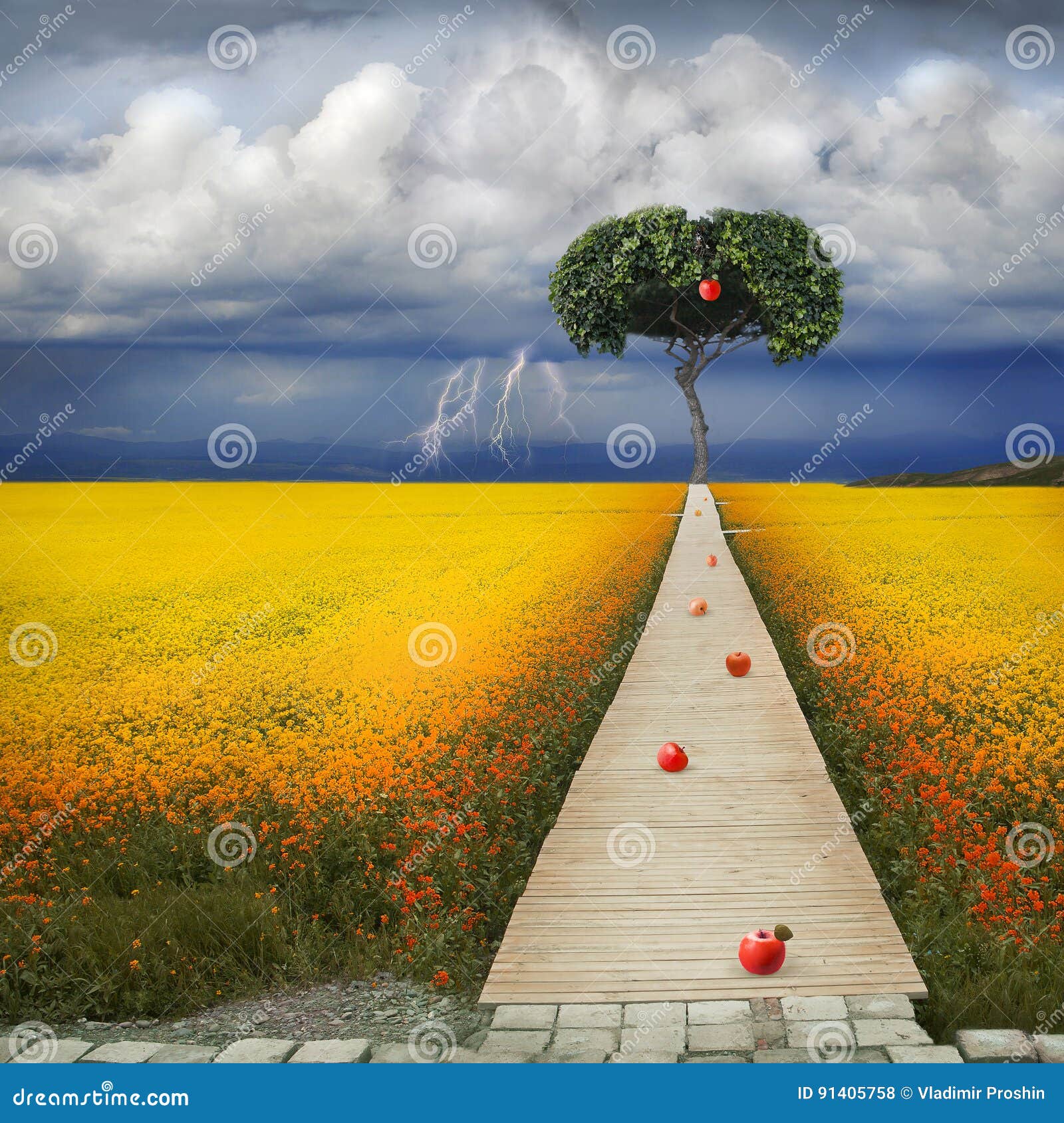 Biblical Red Apple of Temptation Stock Photo - Image of eden, green ...