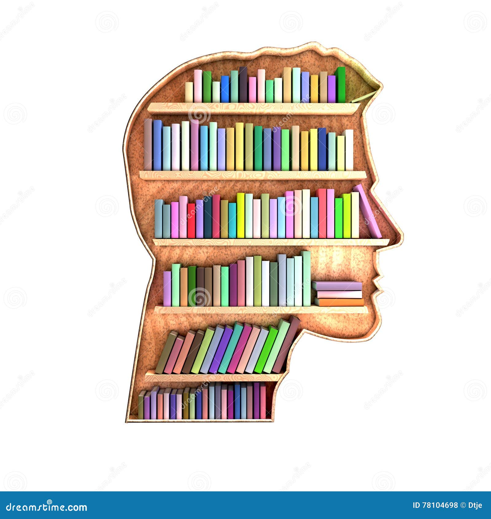 Biblioteca a Forma Di Capa Che Contiene I Libri Sugli Scaffali ...