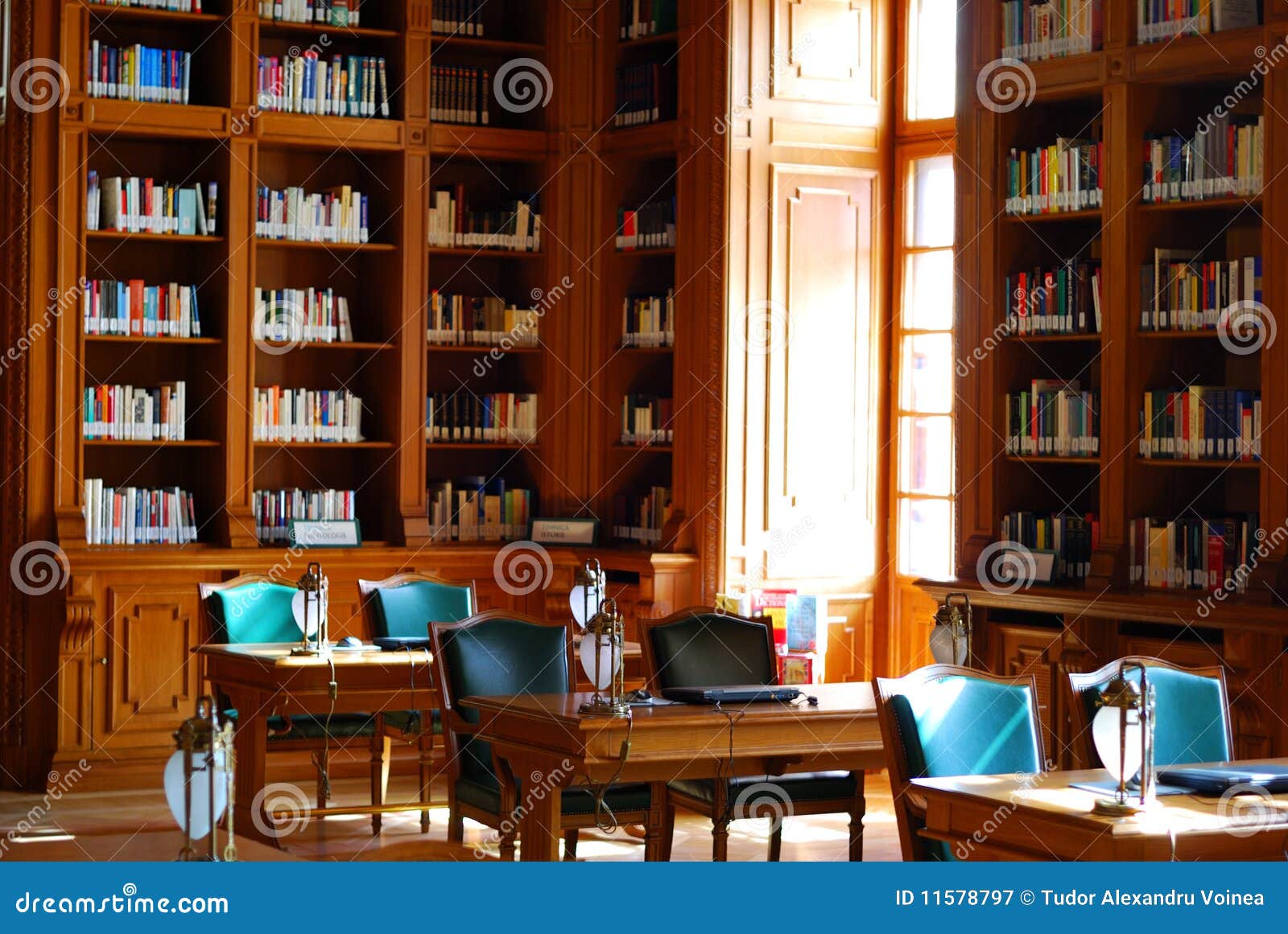 Biblioteka klasyczny styl obraz stock. Obraz złożonej z gmeranie - 11578797