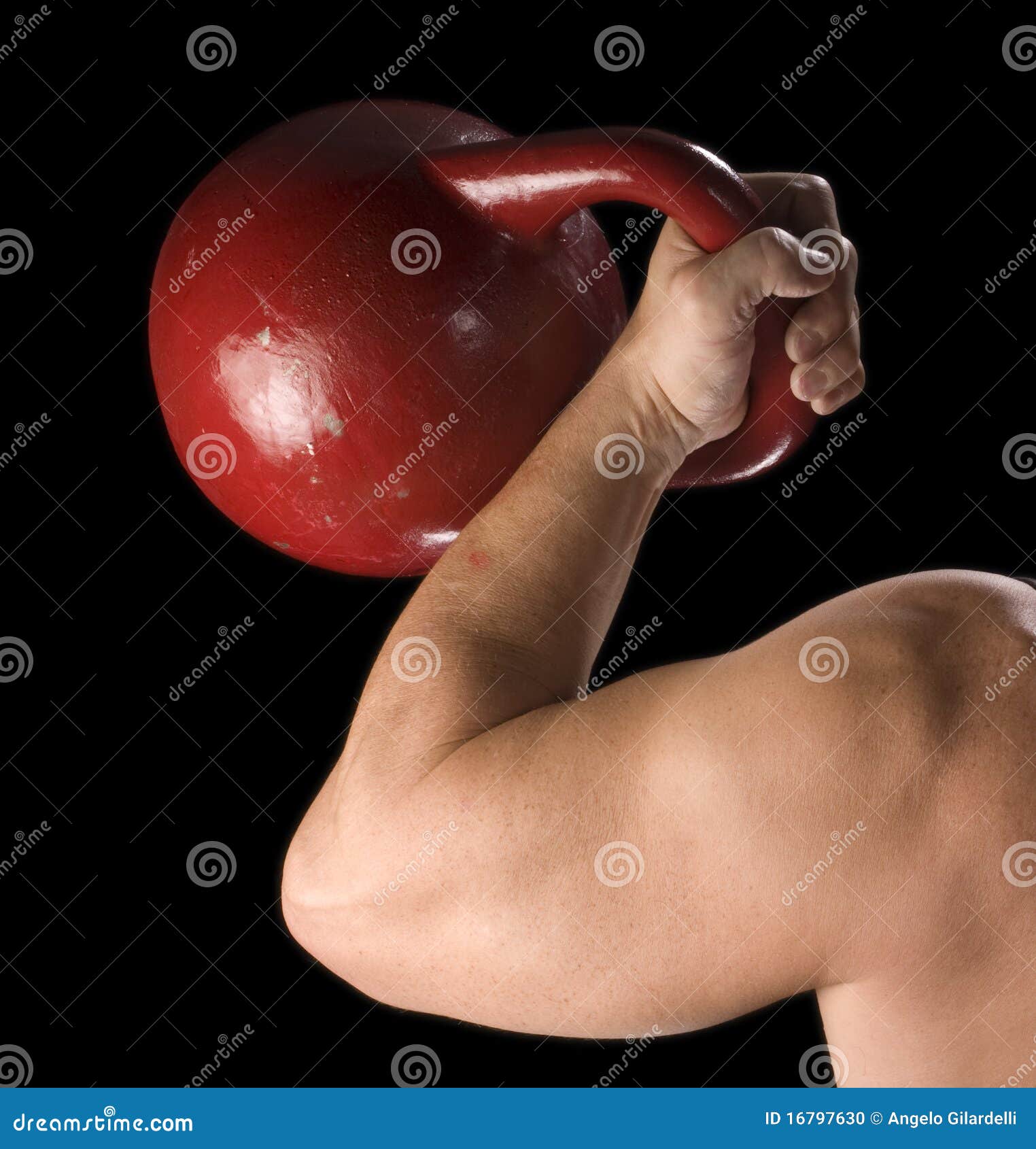 Bicep, body part stock photo. Image of bodybuilder, biceps - 16797630