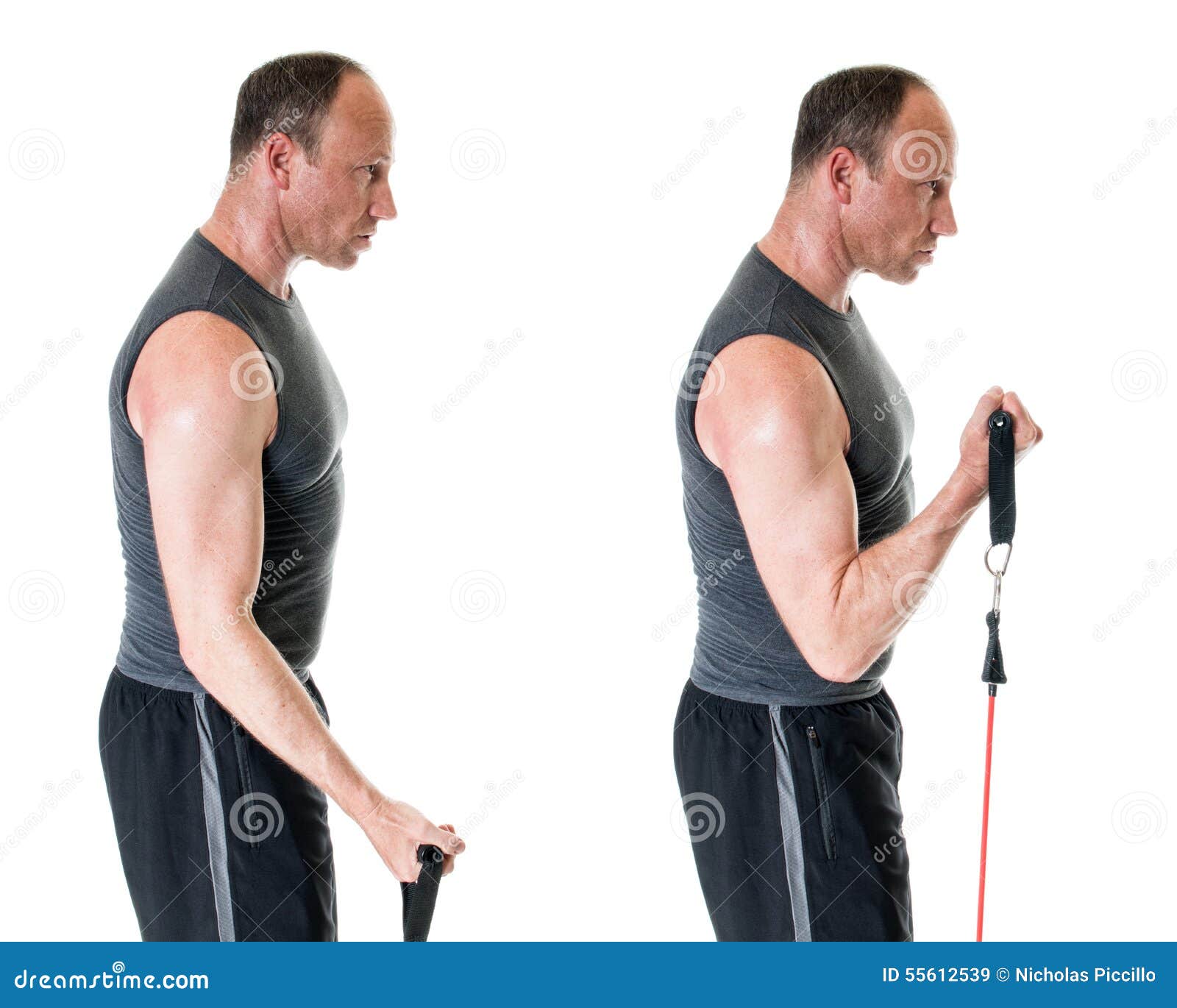 Bicep Curl stock image. Image of bicep, working, series - 55612539