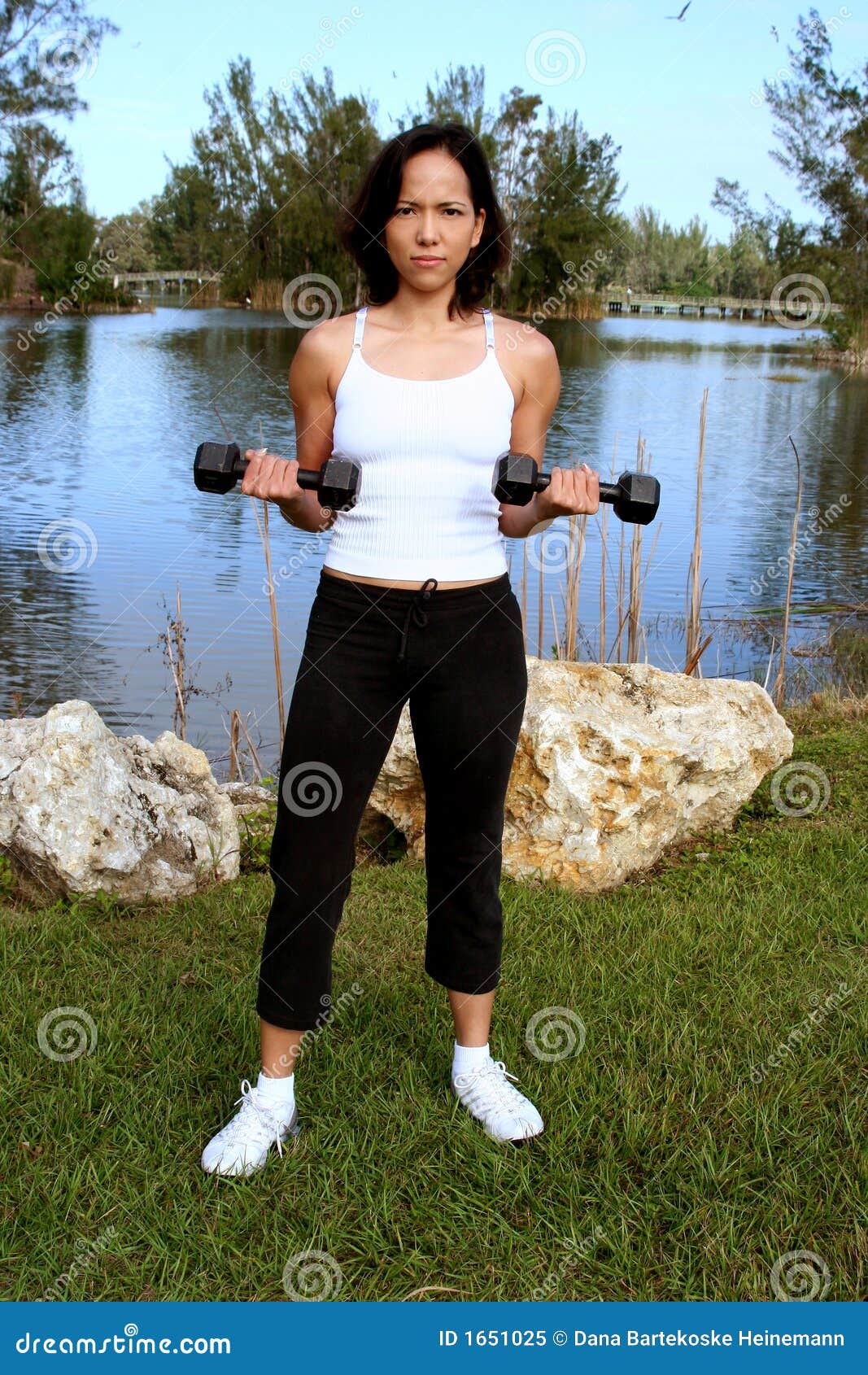 Bicep Curls stock image. Image of female, curl, diet, lifting - 1651025