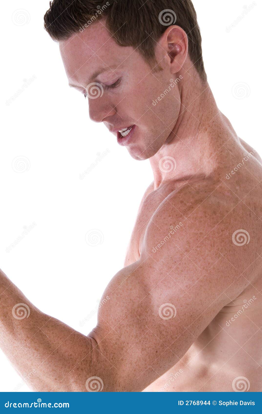 Bicep flex stock photo. Image of muscle, strength, muscular - 2768944