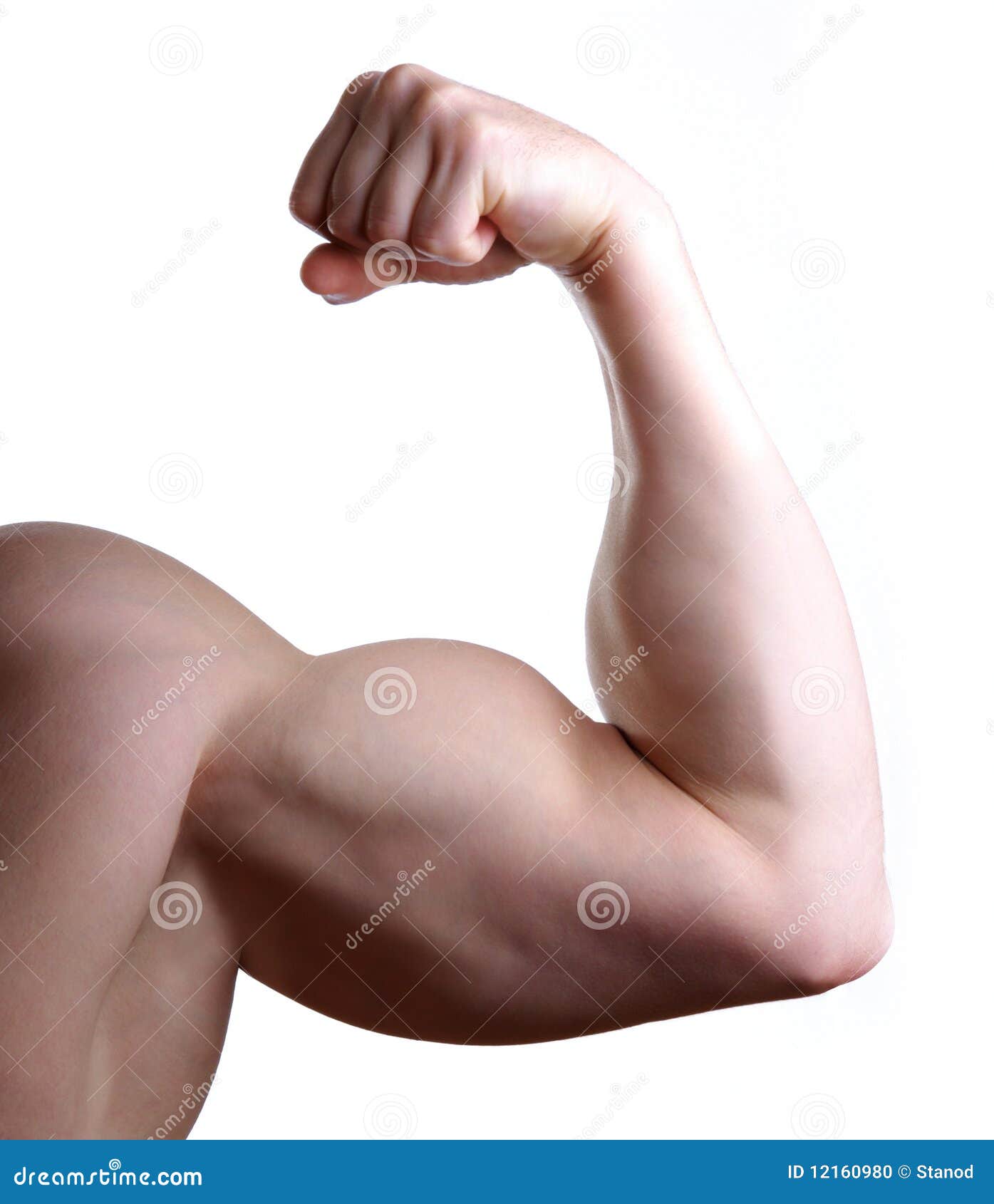 Biceps stock photo. Image of sprout, hand, force, health - 12160980