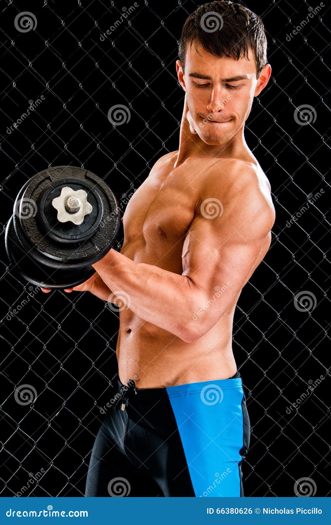 Biceps Curl In Seated Position Stock Photography | CartoonDealer.com ...