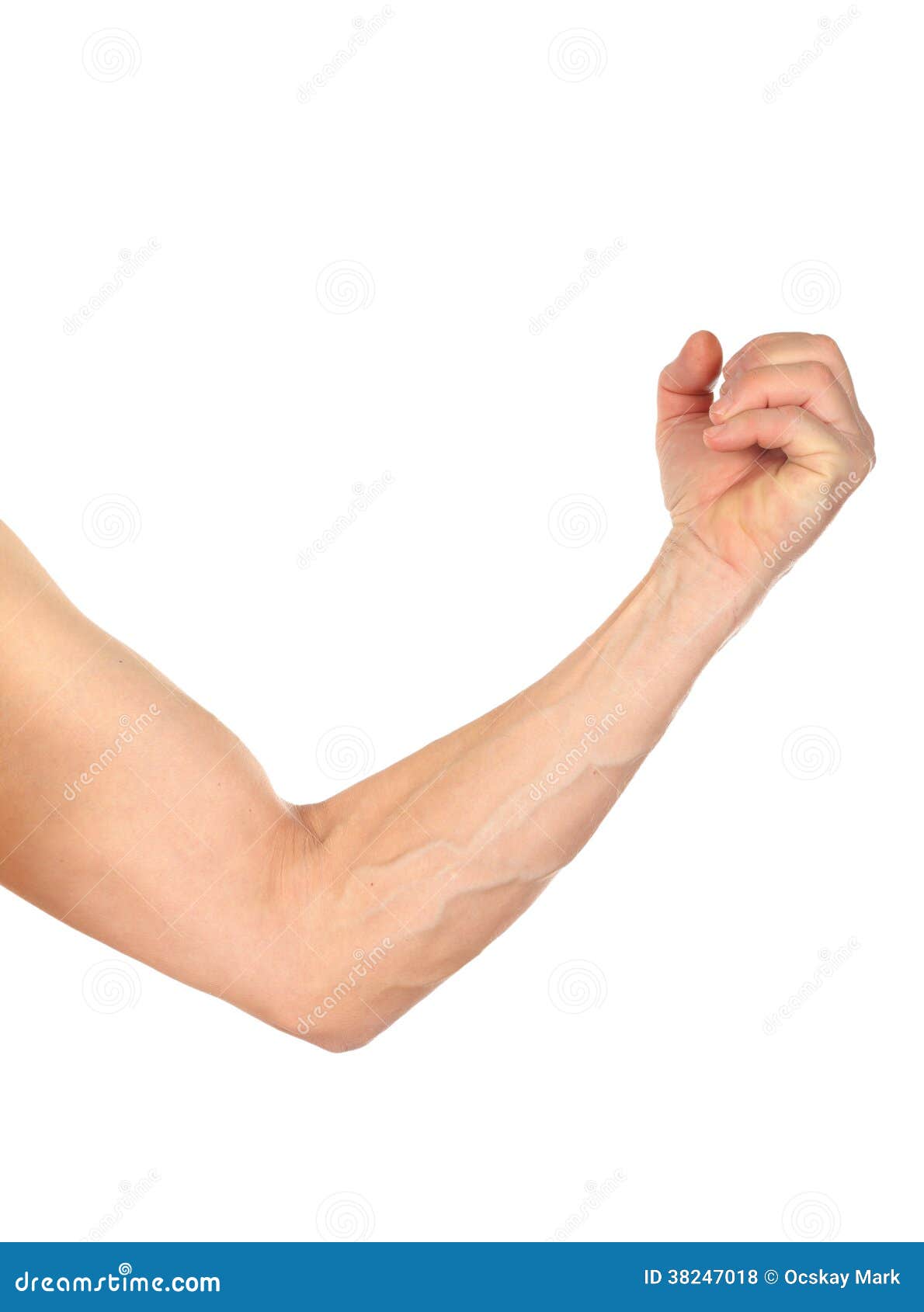 Biceps flexing stock photo. Image of anatomy, help, muscular - 38247018