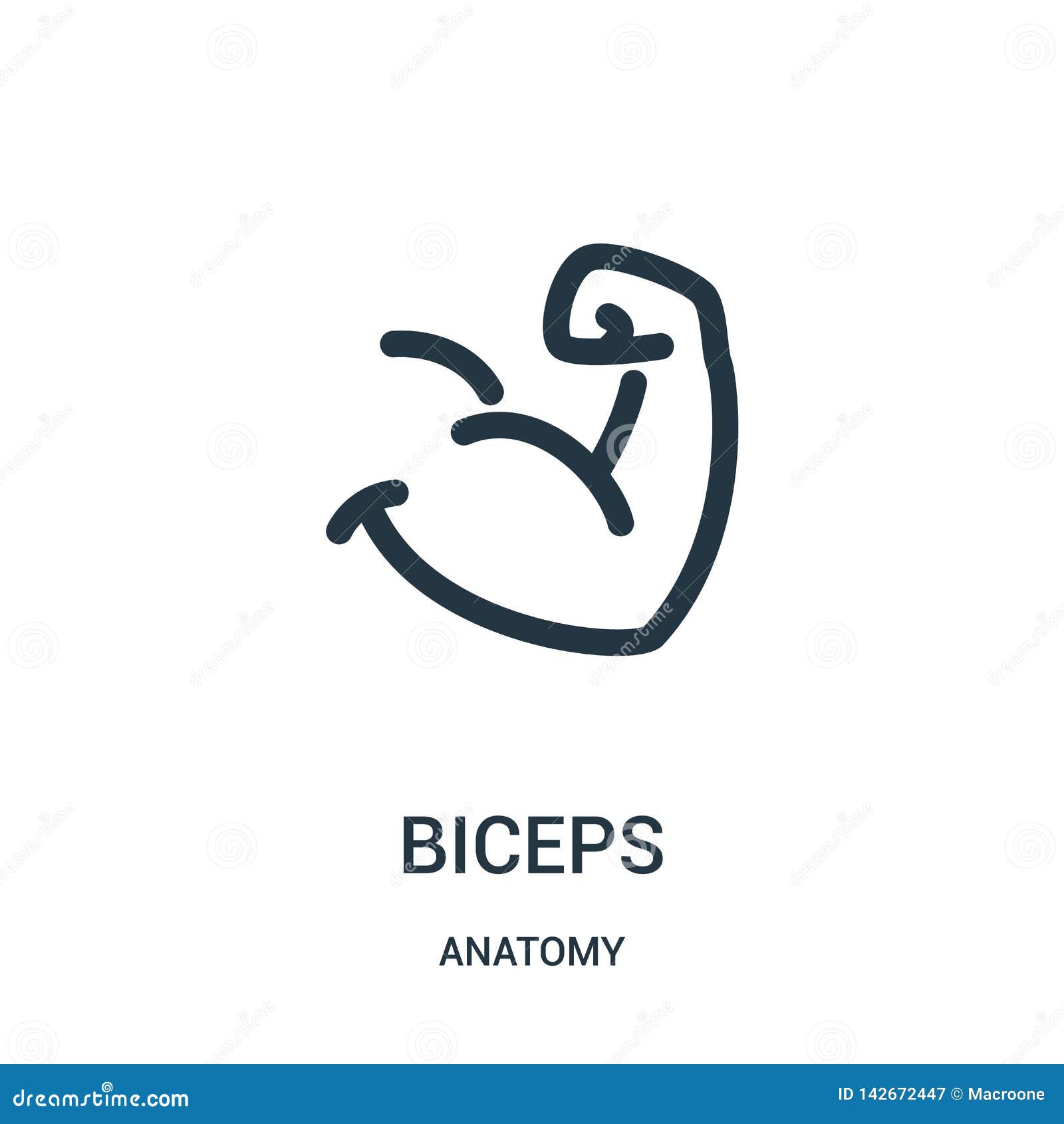 Biceps Icon Vector from Anatomy Collection. Thin Line Biceps Outline ...