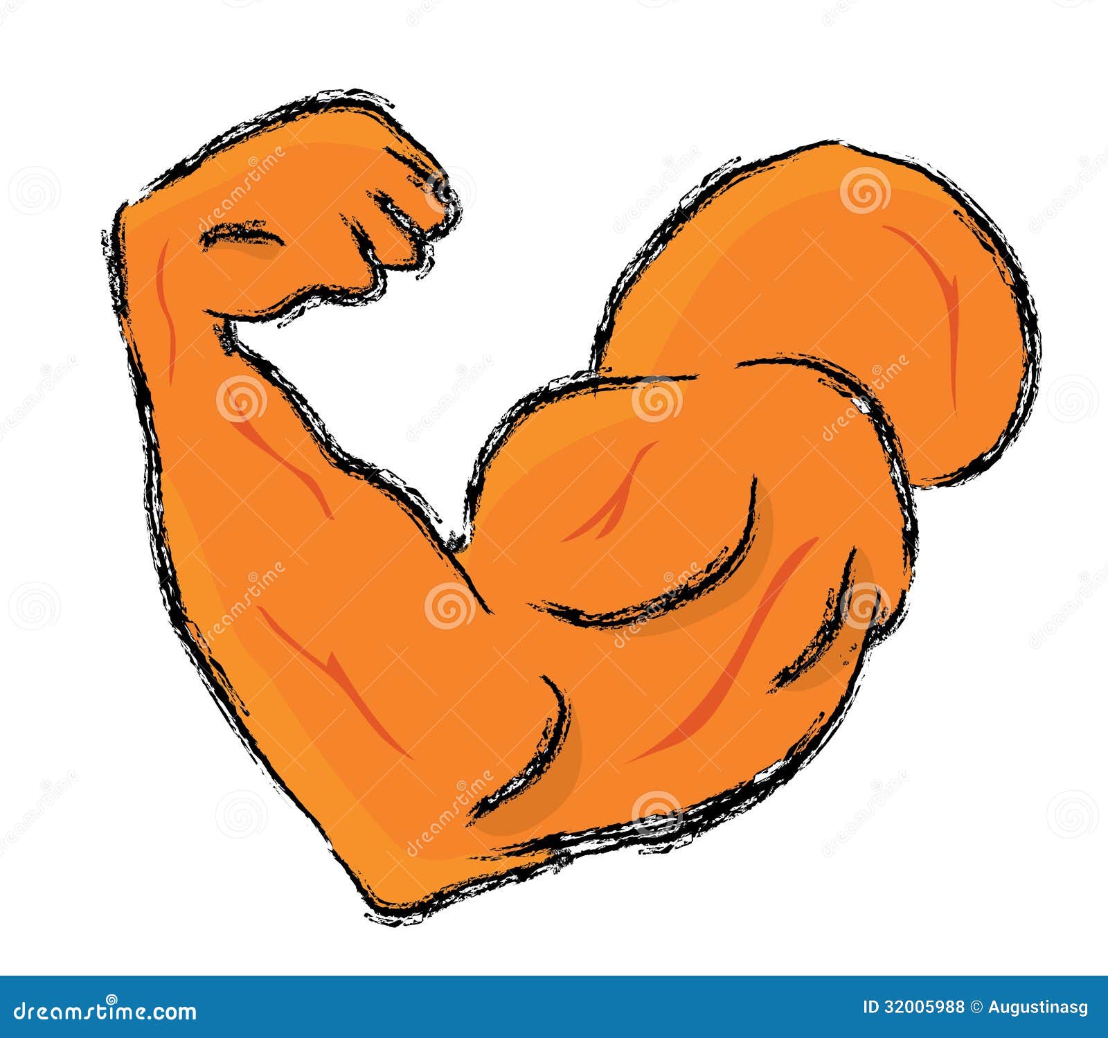 Biceps illustration stock illustration. Illustration of training - 32005988