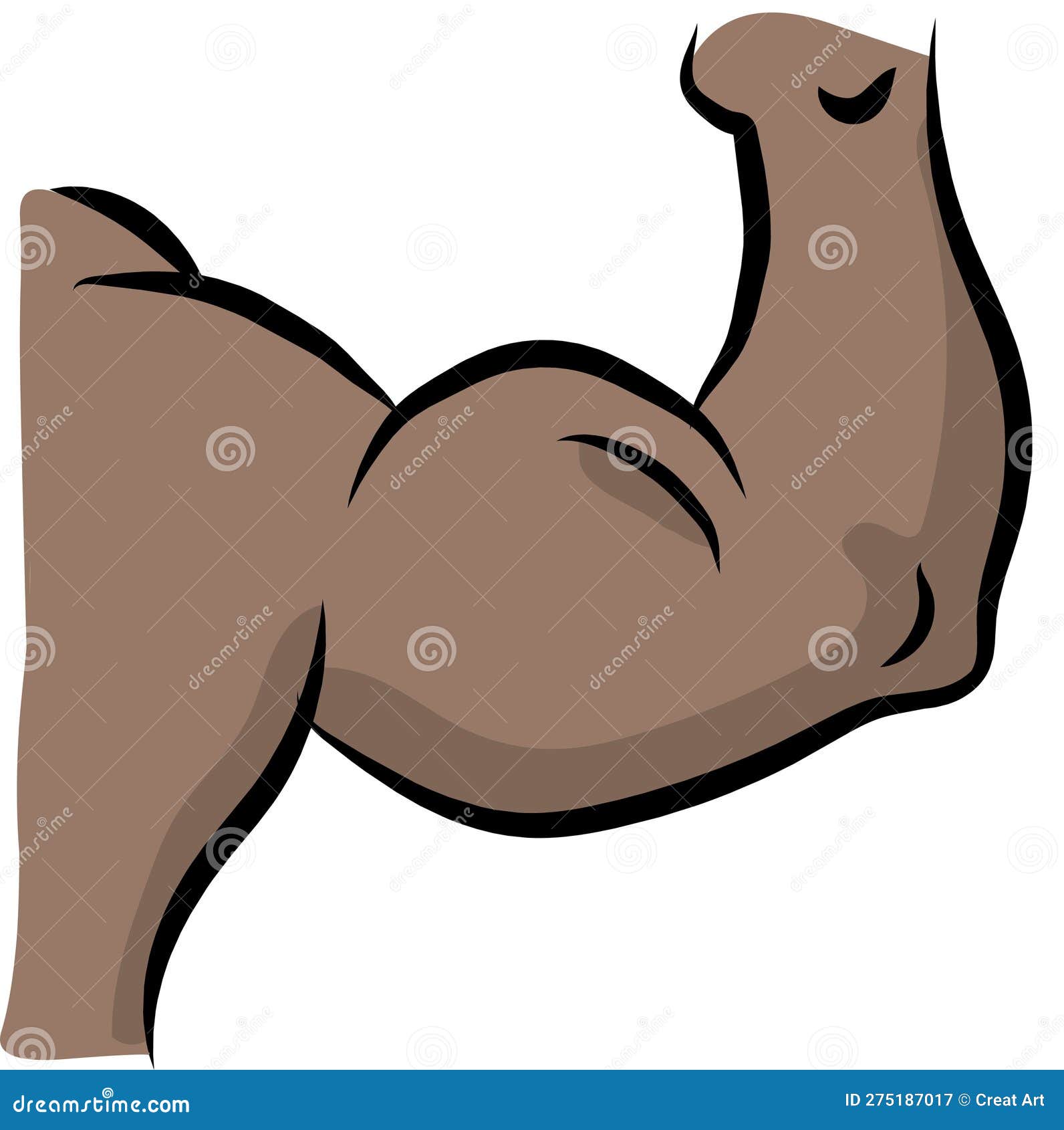 Biceps Illustration Vector | CartoonDealer.com #275187017