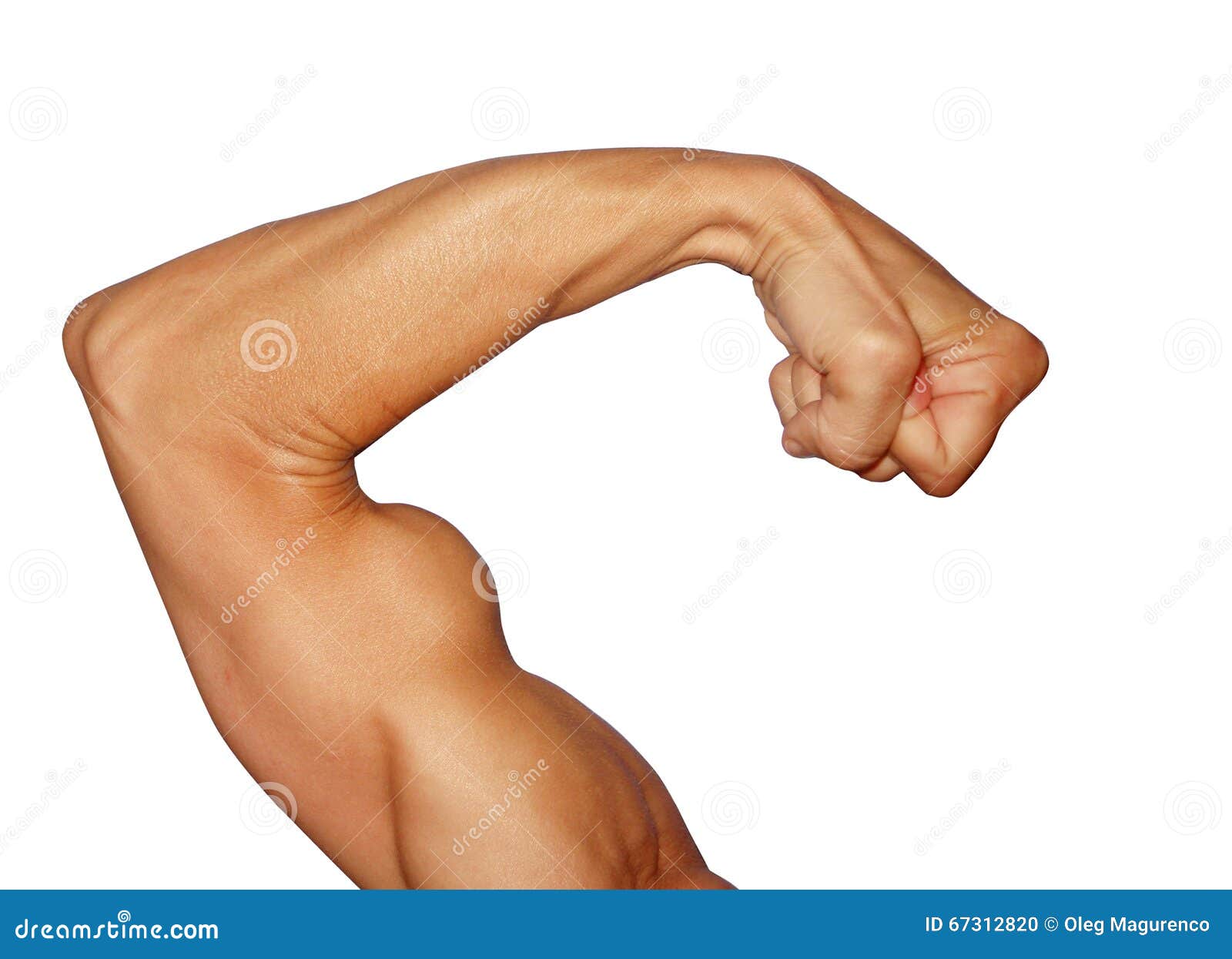 Biceps stock photo. Image of beautiful, muscular, muscle - 67312820