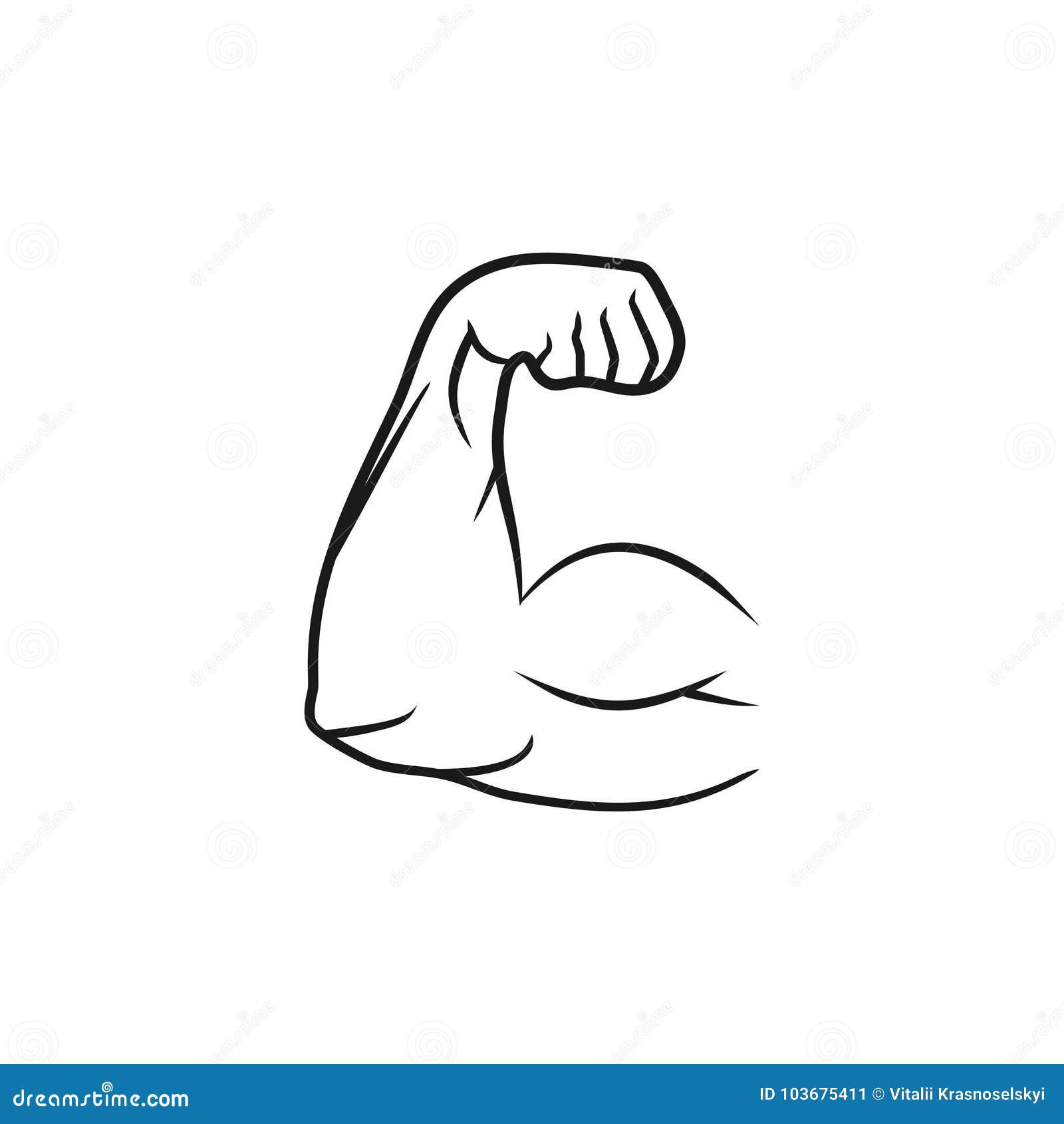 Biceps Muscle Arm, Vector Illustration Line Style and Flat Design Stock ...