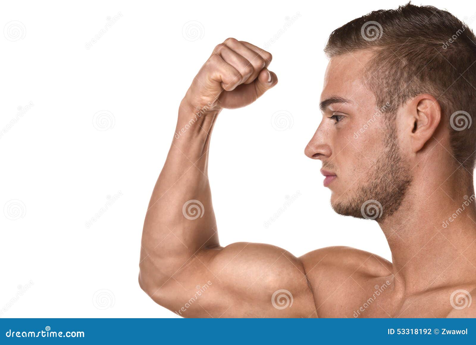 Biceps muscle of young man stock photo. Image of model - 53318192