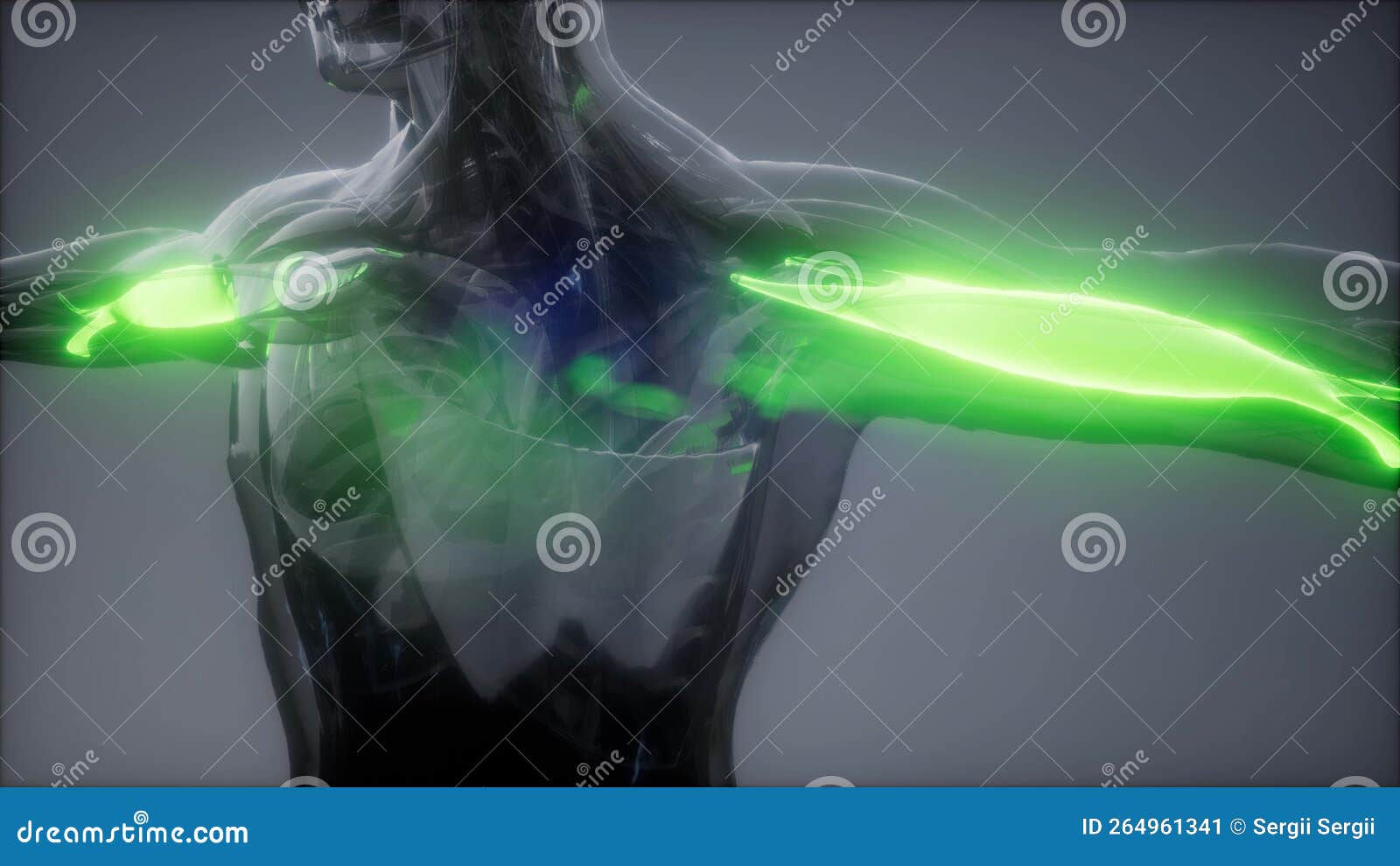 Biceps - Visible Muscle Anatomy Map Stock Illustration - Illustration ...