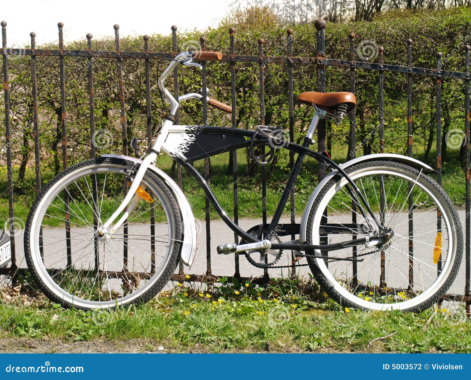 Bicycle Picture. Image: 5003572