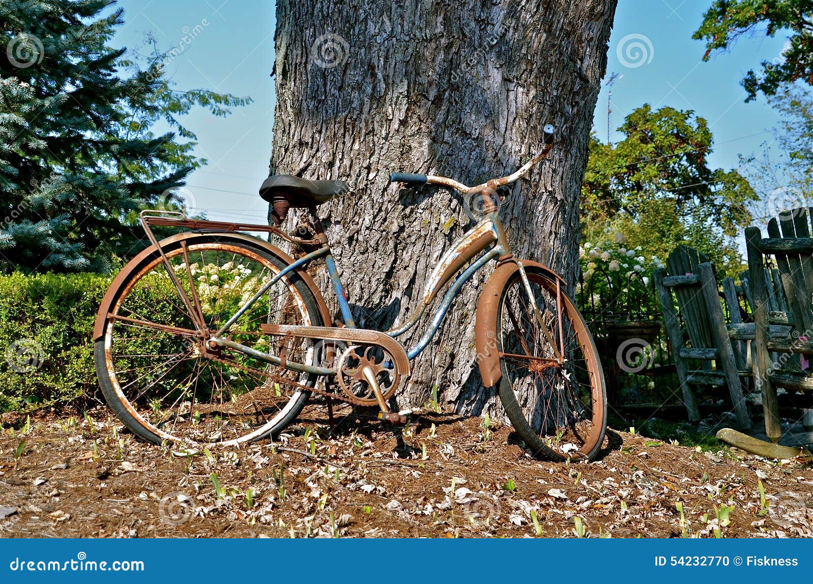Bicycle against a tree stock photo. Image of tree, garden - 54232770