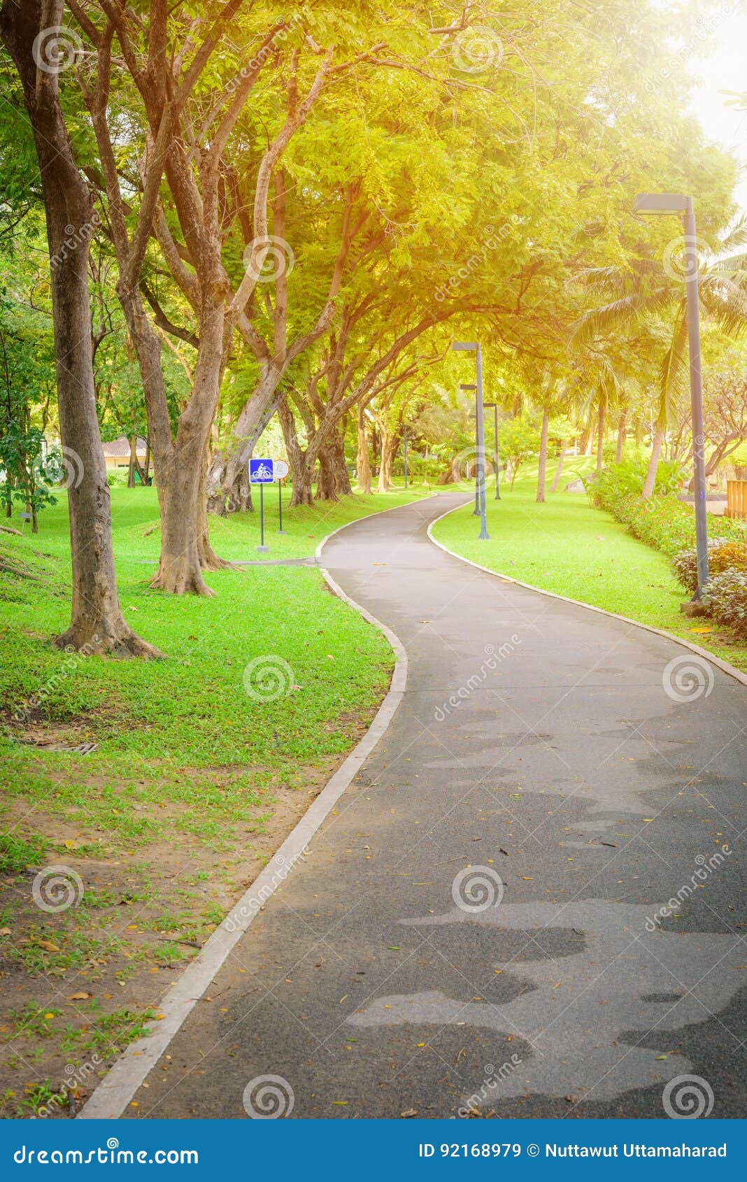Bicycle Asphalt Path in the Park Stock Image - Image of street ...