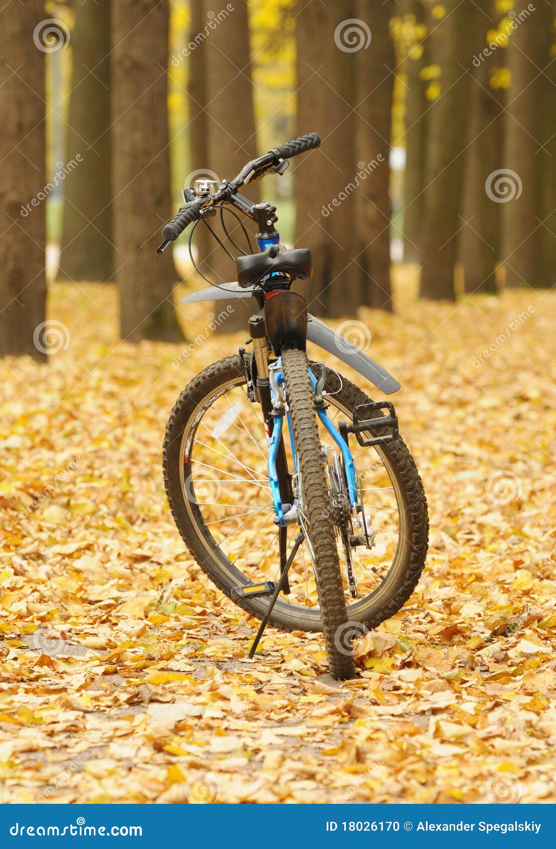 Bicycle on autumn avenue stock photo. Image of recreation - 18026170