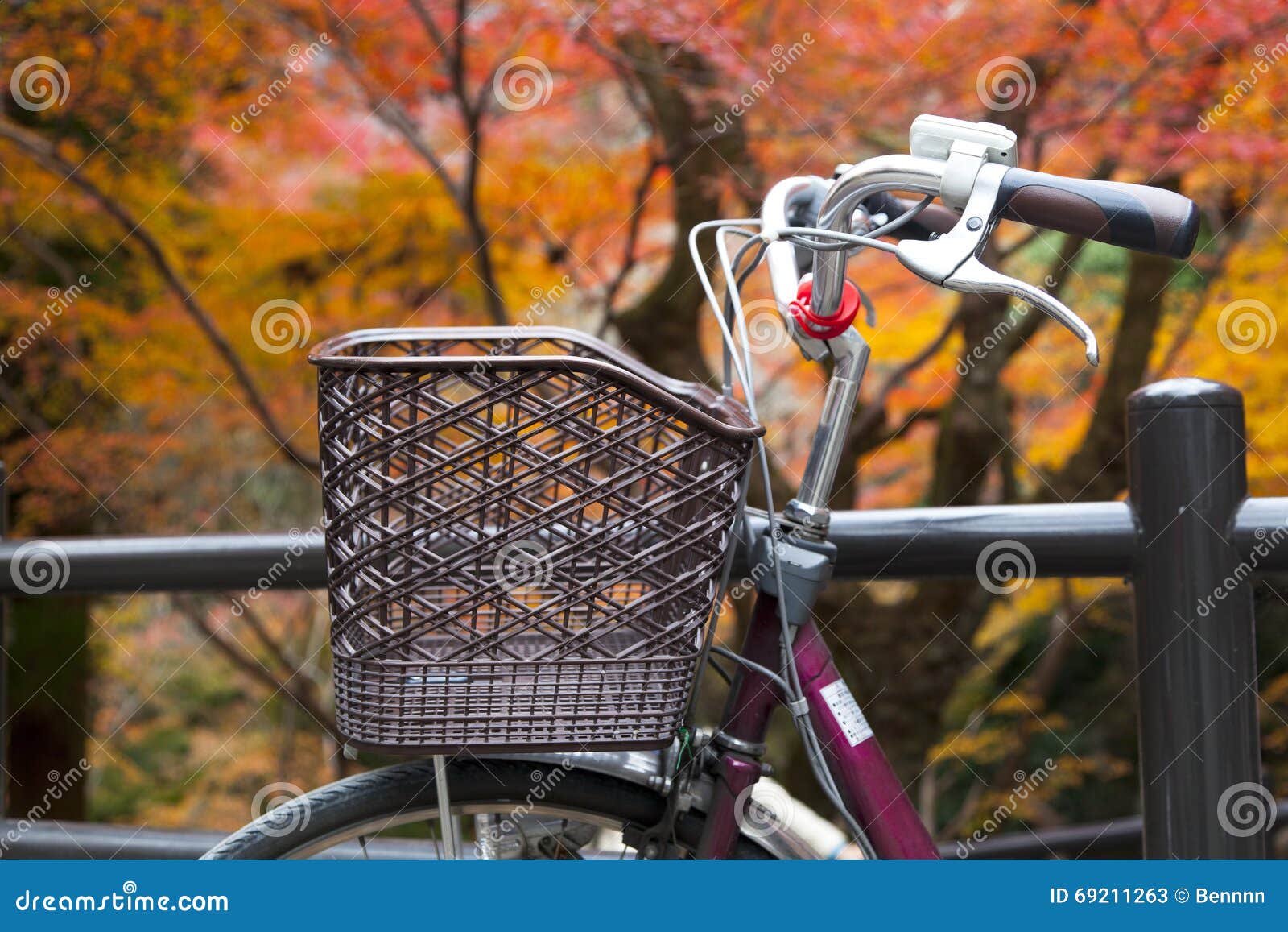 Bicycle autumn leave stock image. Image of autumn, father - 69211263