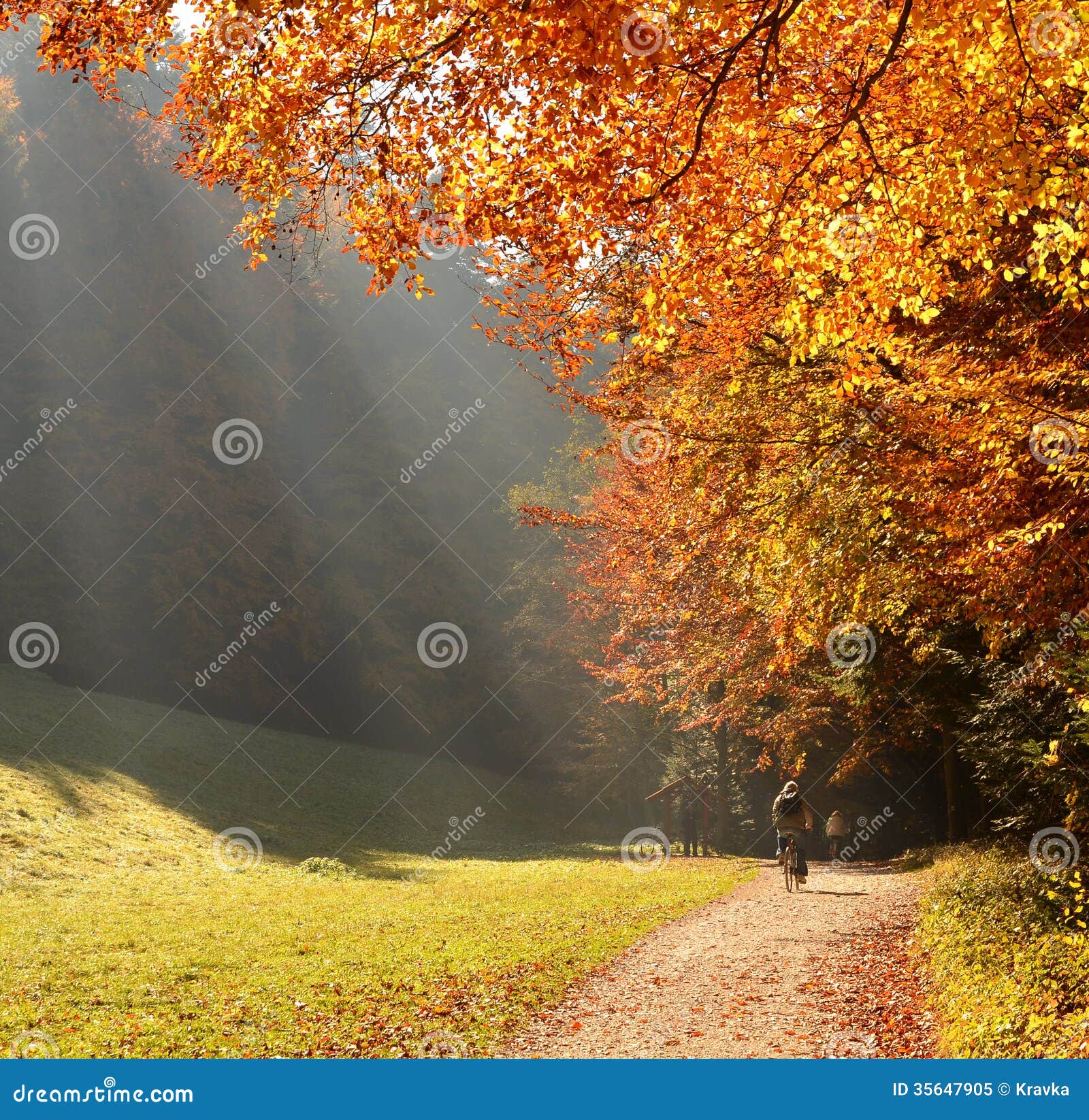 Bicycle in autumn stock image. Image of bicycle, beautiful - 35647905