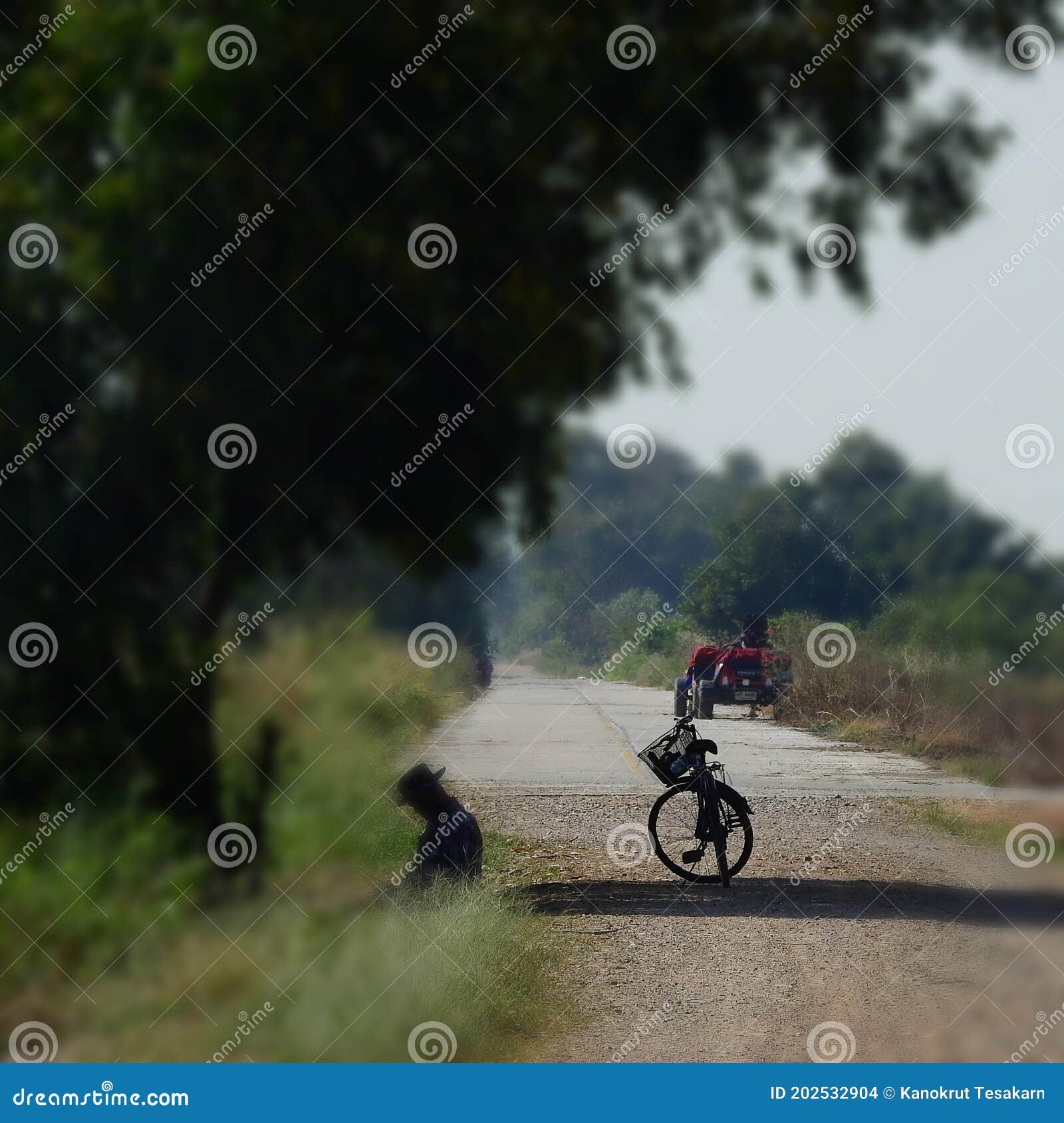 Bicycle Bike Stop on Rough Road Under Big Tree Stock Photo - Image of ...
