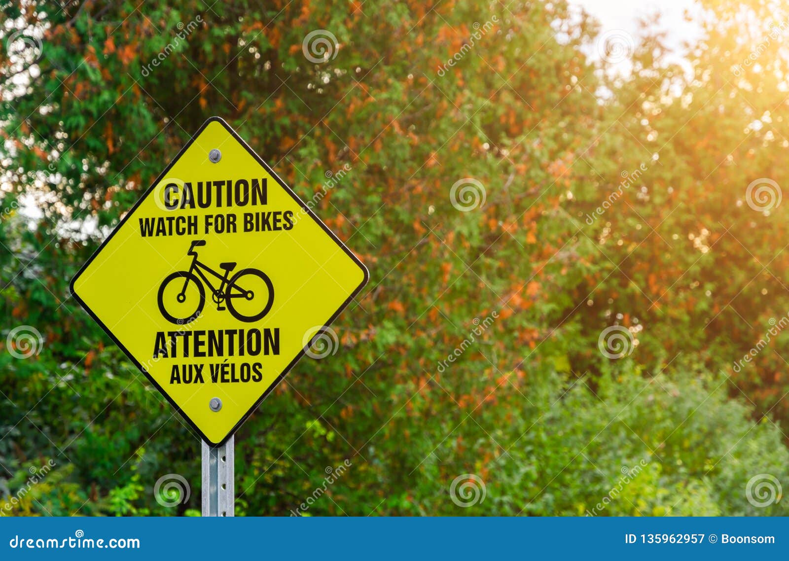 Bicycle Caution Sign in the Park Stock Image - Image of language, text ...