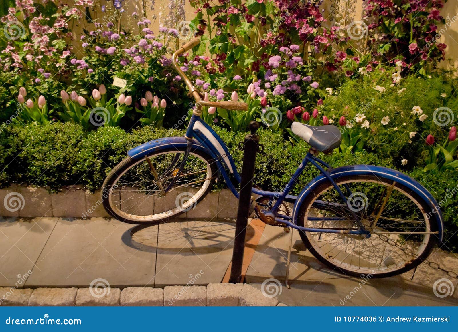 Bicycle Flower Show editorial photo. Image of gardening - 18774036