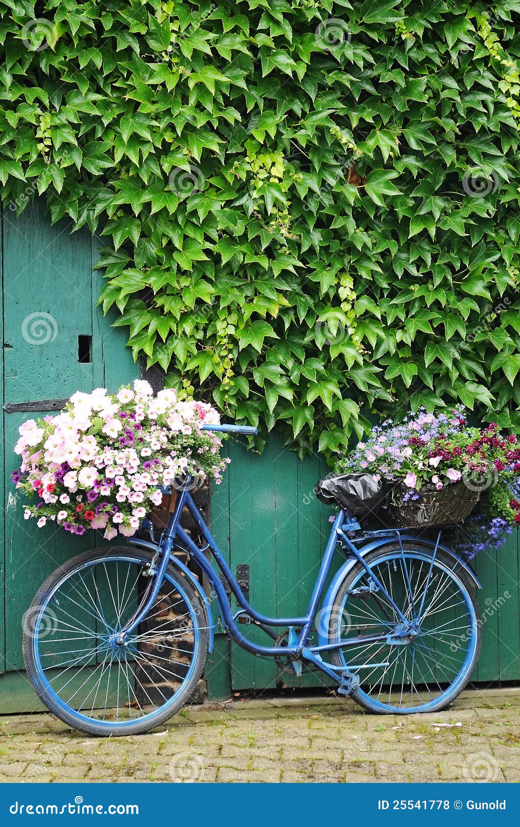 Bicycle with flowers stock photo. Image of bicycle, plant - 25541778