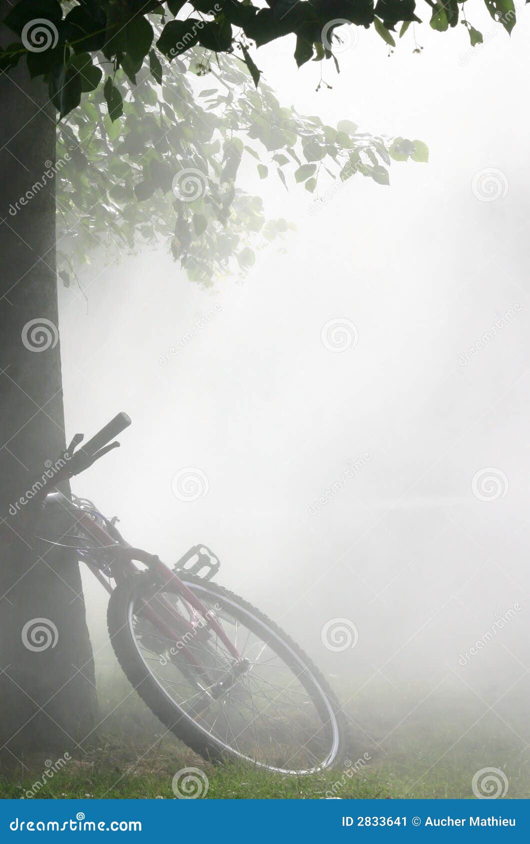 Bicycle in the fog stock image. Image of rain, expedition - 2833641