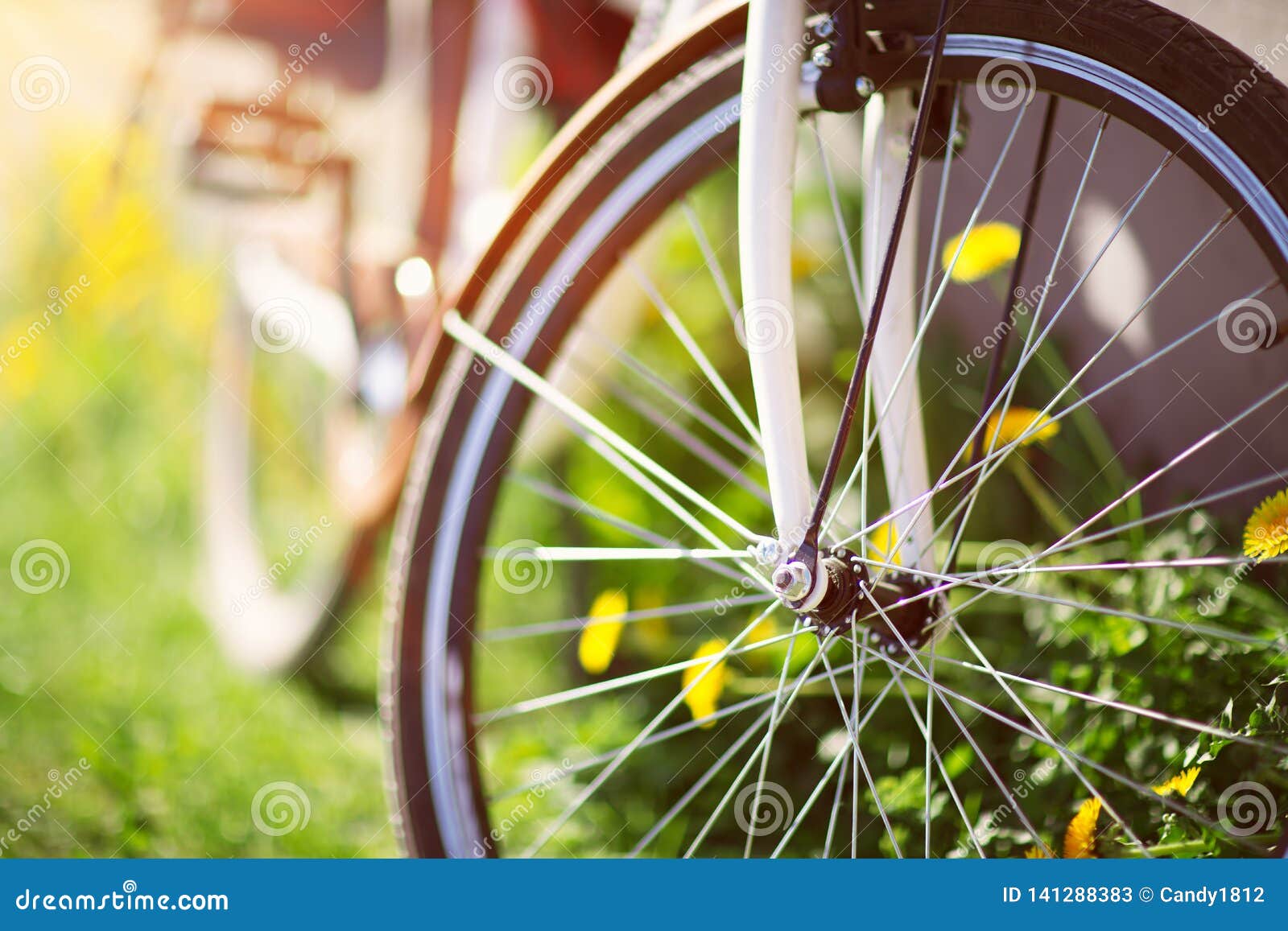 Bicycle in the Forest in Spring Stock Image - Image of outside, biking ...