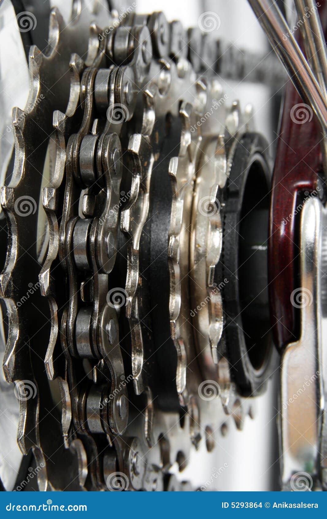 Bicycle gears stock photo. Image of iron, bicycle, cogs - 5293864