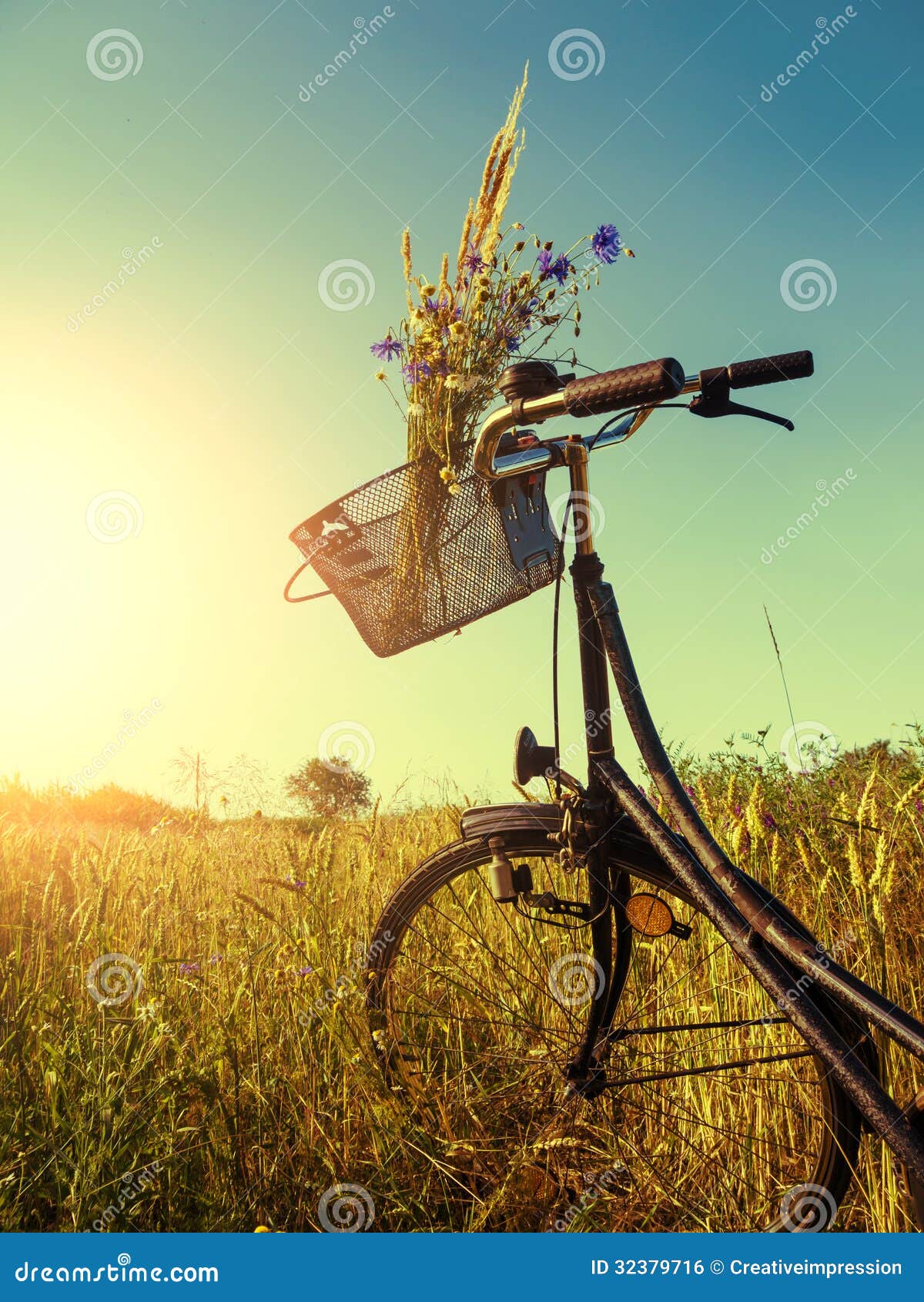 Bicycle in landscape stock photo. Image of wellness, countryside - 32379716