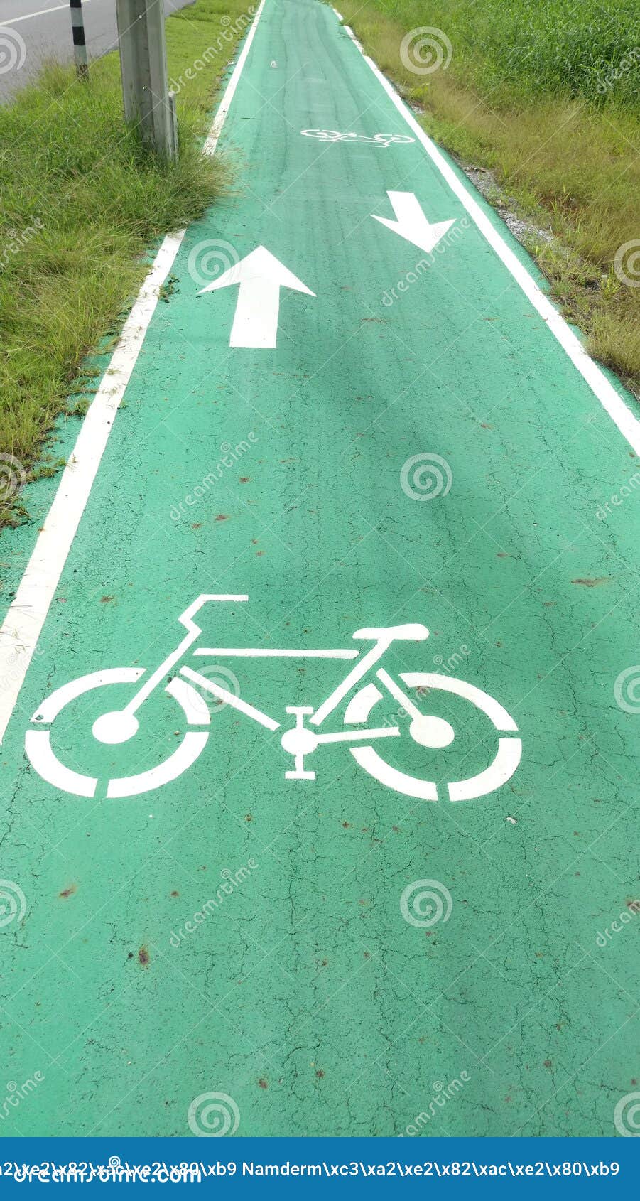 Bicycle lane stock photo. Image of colors, thailand, uban - 93384720