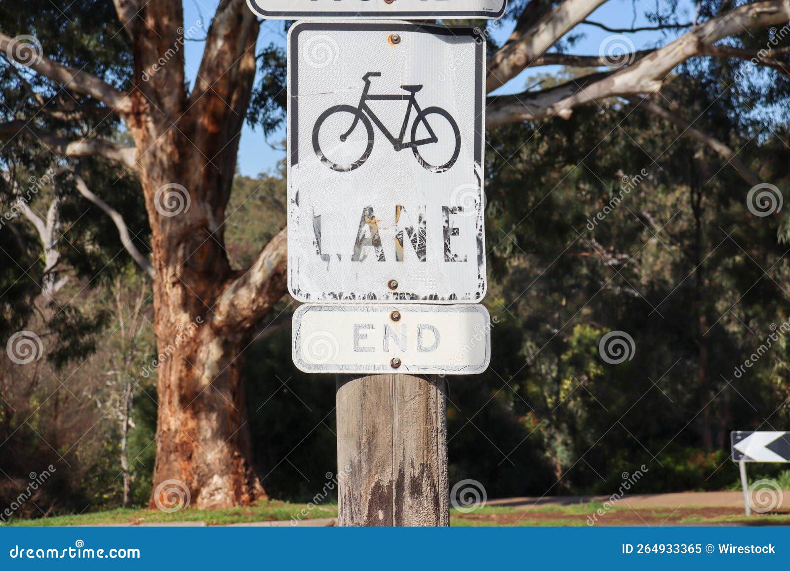 Bicycle Lane Sign on a Tree Trunk Stock Image - Image of travel, symbol ...