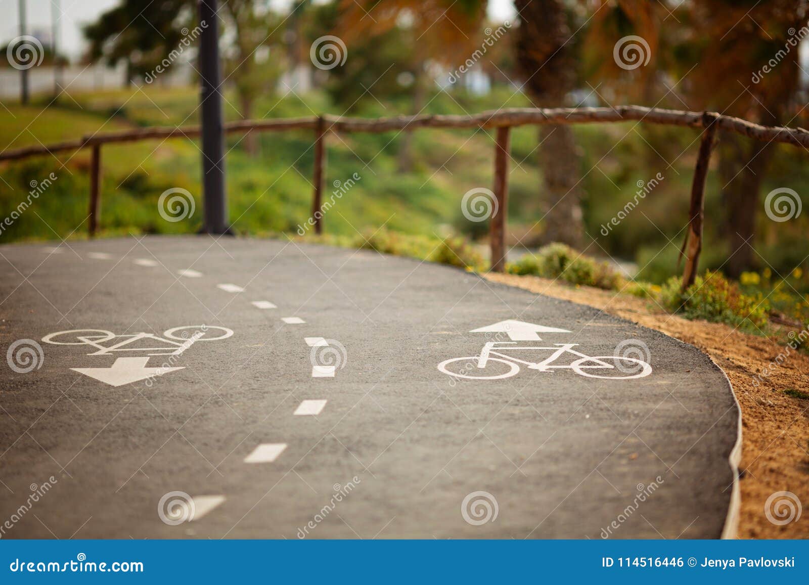 Bicycle Lane Signage on Street Stock Photo - Image of path, arrow ...