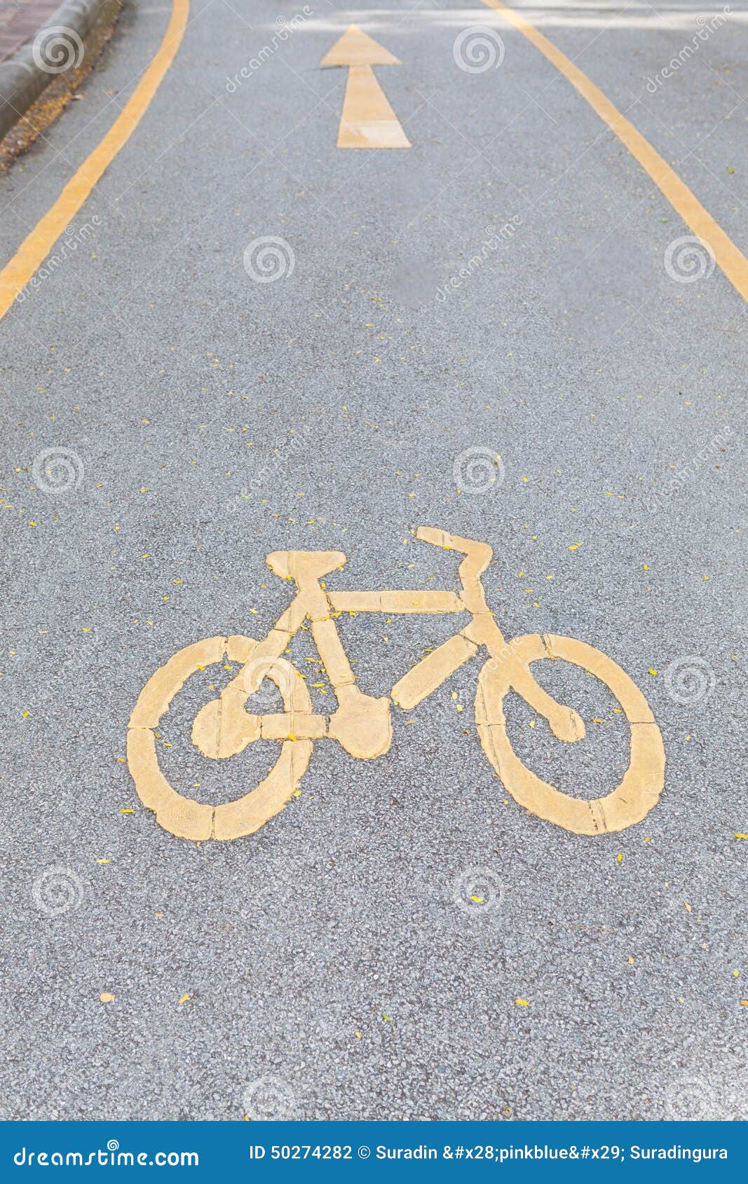 Bicycle Lane in Yellow Color Stock Photo - Image of field, lane: 50274282