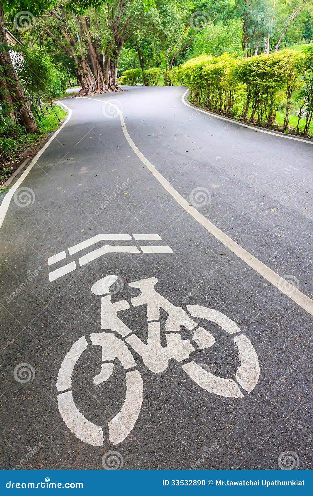 Bicycle Lanes in Park, Bangkok Stock Photo - Image of path, healthy ...