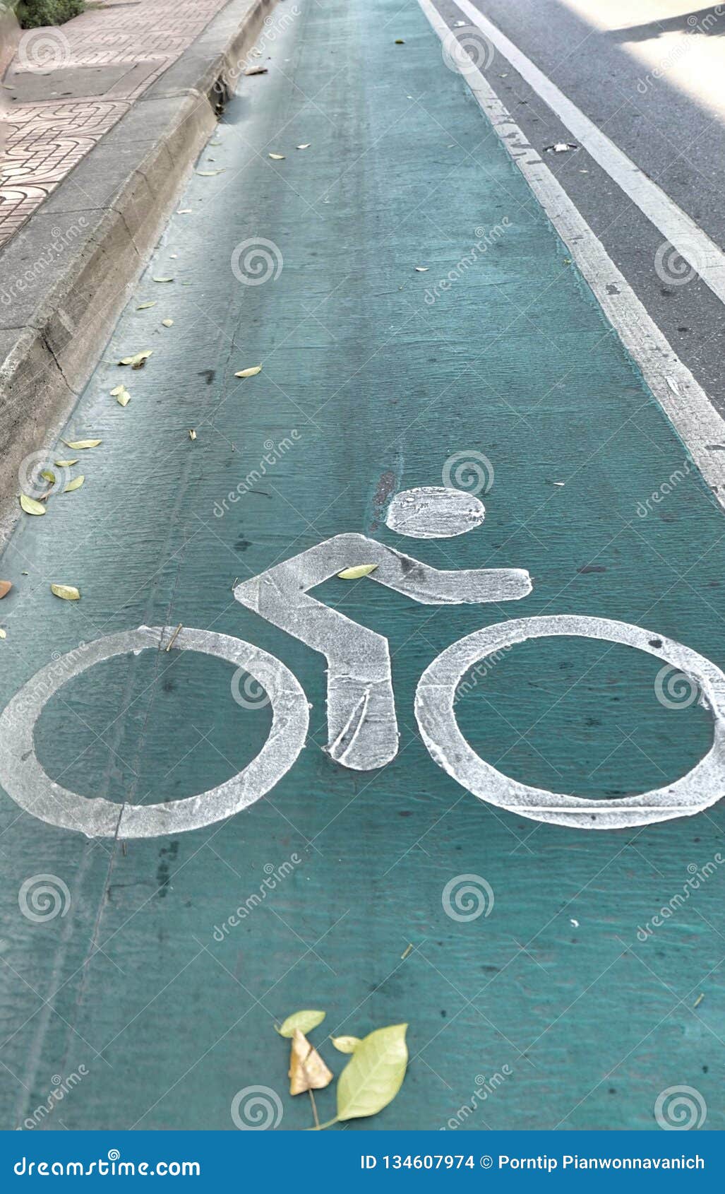 Bicycle line stock photo. Image of line, bike, bikecycle - 134607974