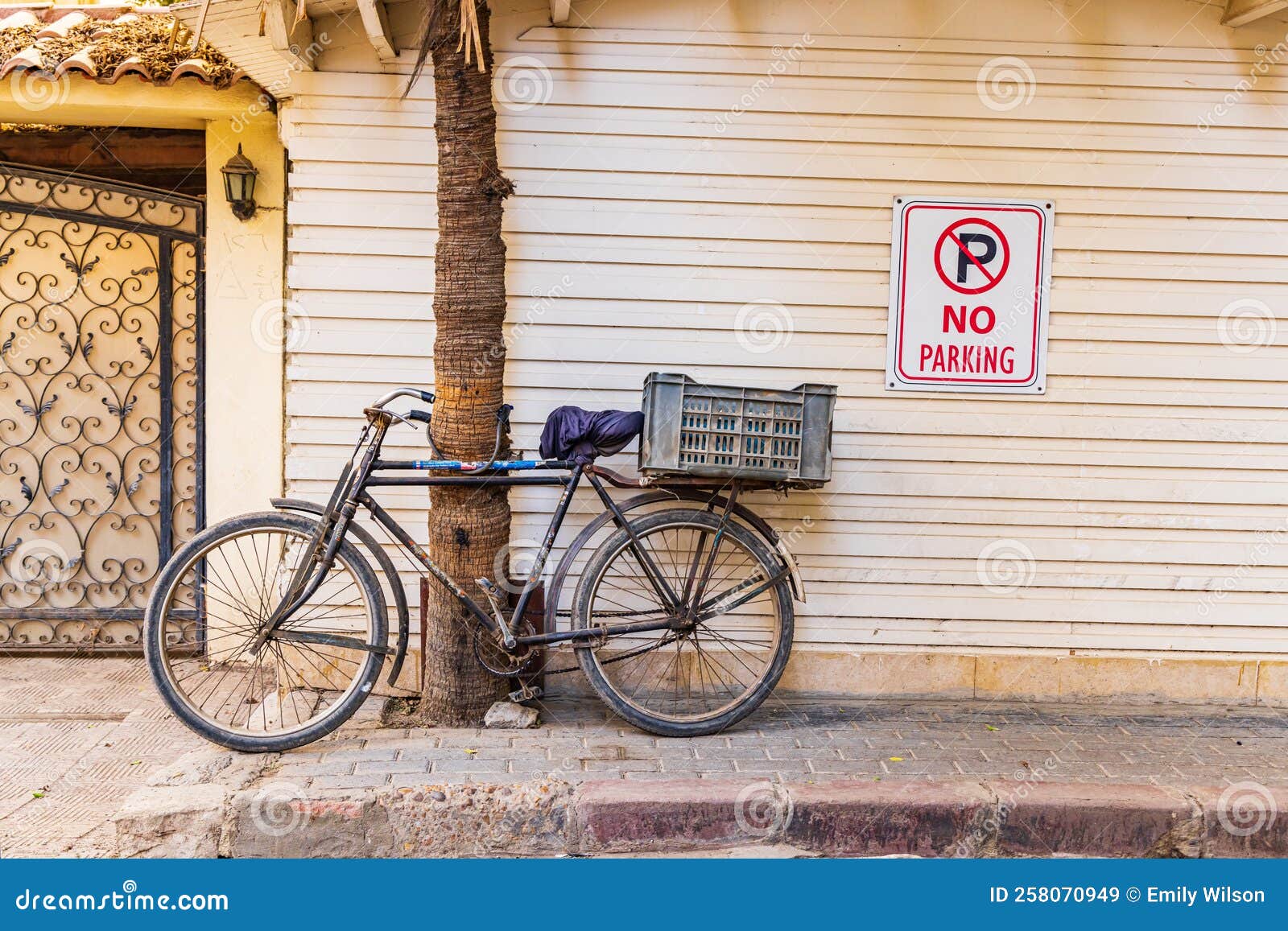 Bicycle Locked To a Tree in Cairo Editorial Stock Image - Image of ...