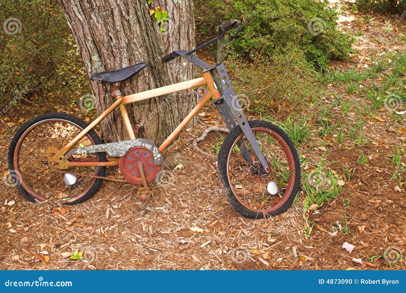 Bicycle Lost and Rusting Away Stock Photo - Image of grass, guard: 4873090