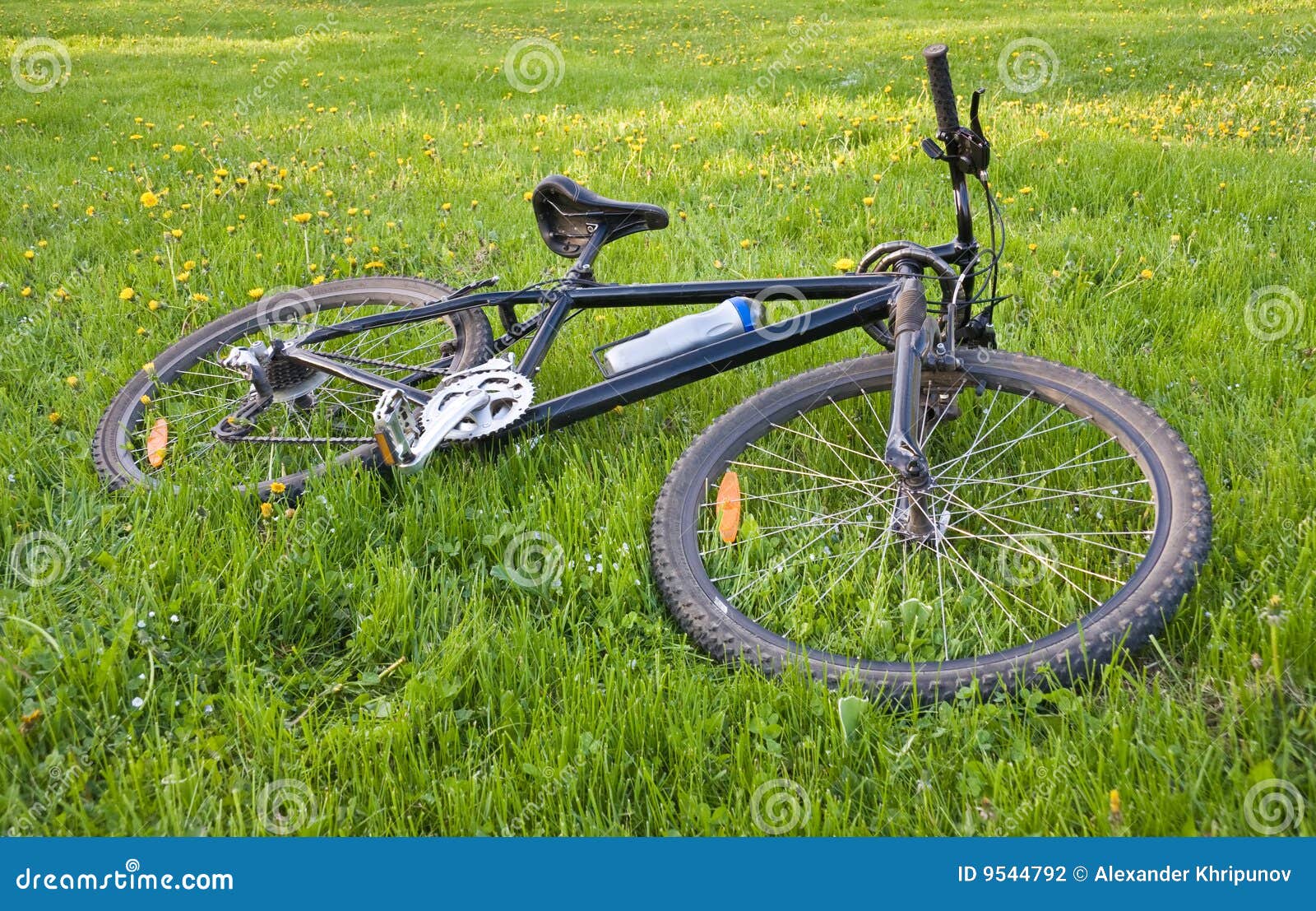 Bicycle lying on grass stock photo. Image of people, sports - 9544792
