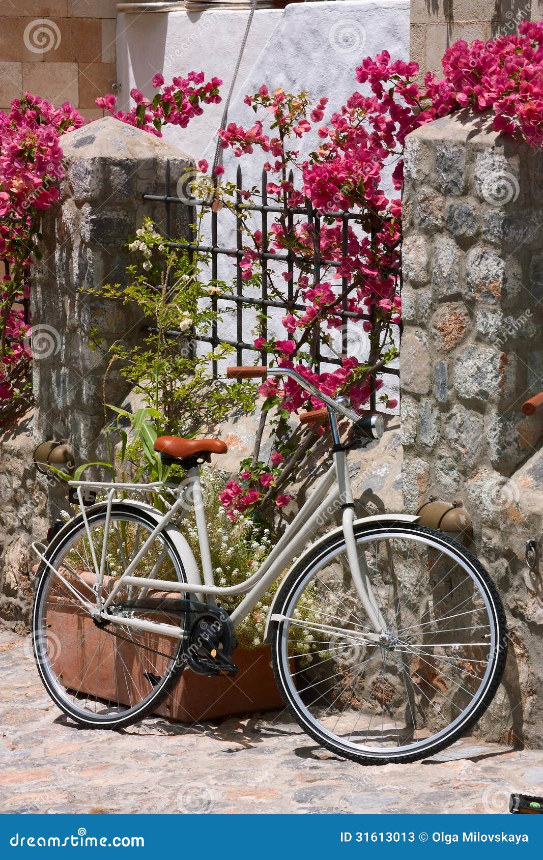 Bicycle near fence stock image. Image of nature, bicycle - 31613013