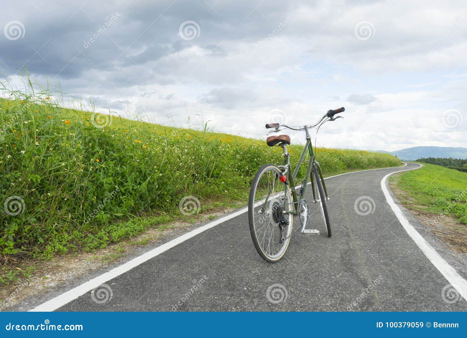 Bicycle in the park stock image. Image of majestic, horizontal - 100379059